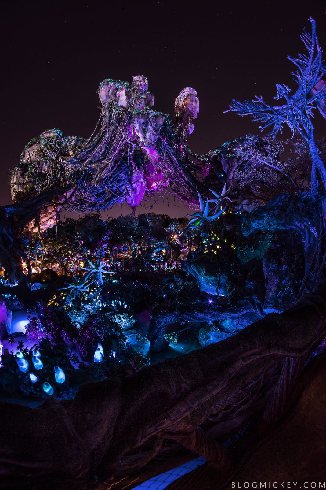 PHOTOS + VIDEO: Pandora - The World of Avatar Comes Alive at Night
