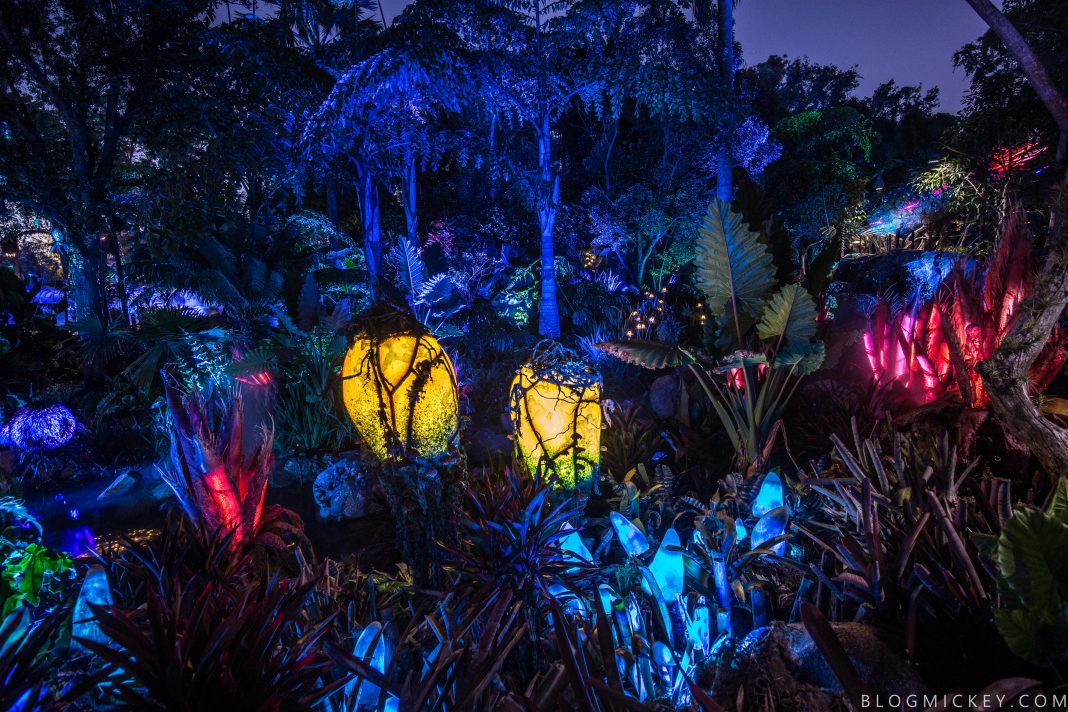 PHOTOS + VIDEO: Pandora - The World of Avatar Comes Alive at Night