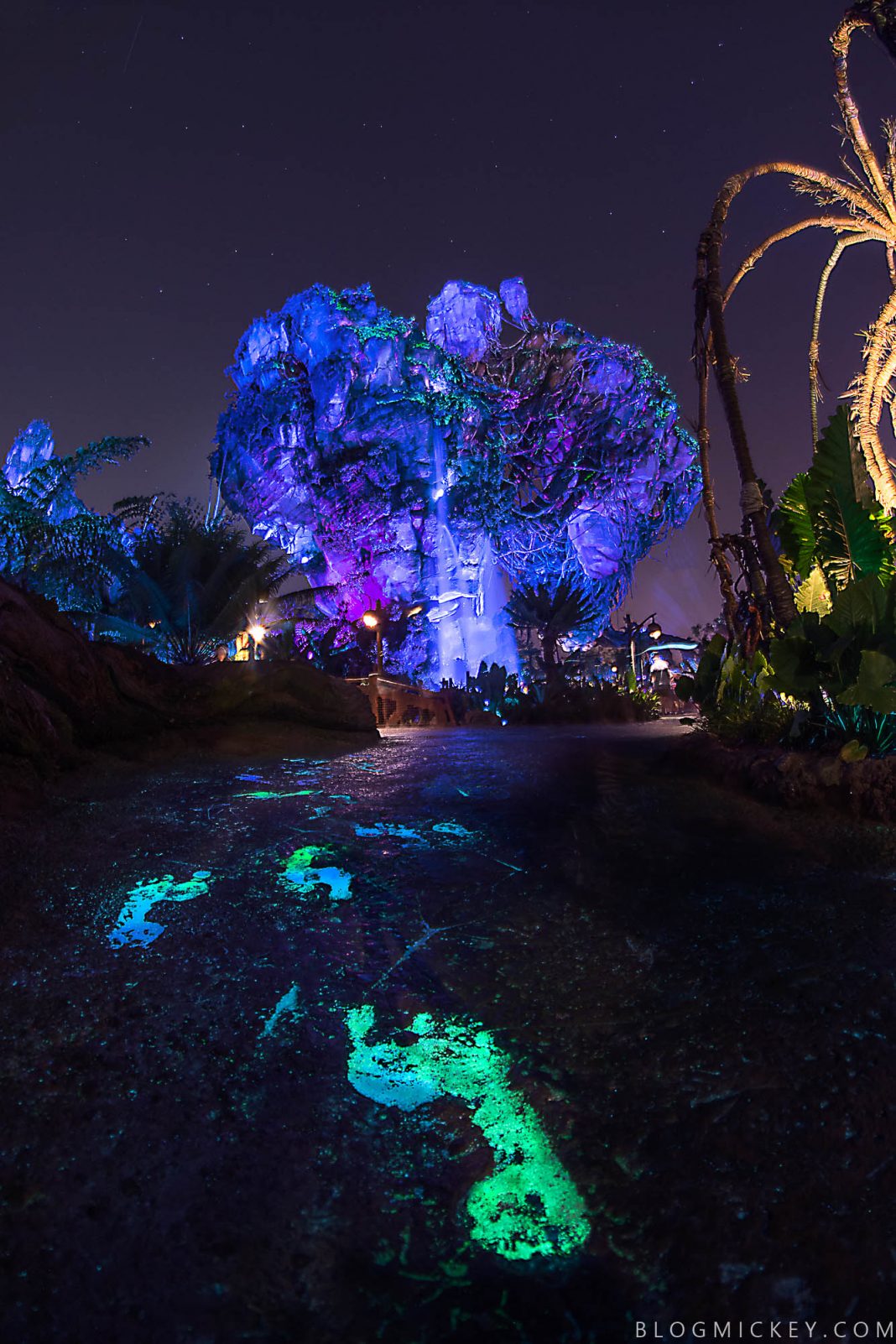 PHOTOS + VIDEO: Pandora - The World of Avatar Comes Alive at Night