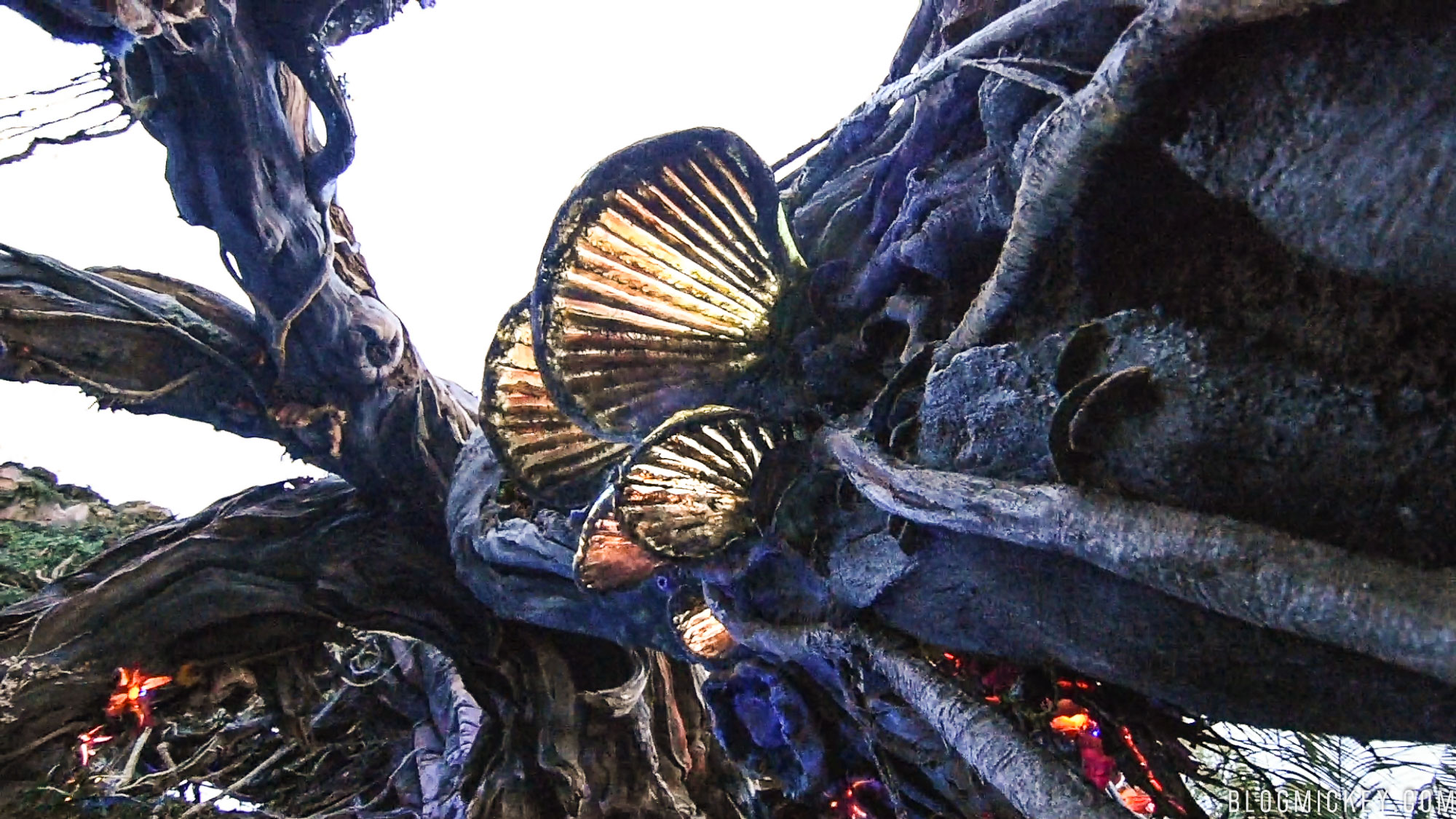 VIDEO: Interactive Roots Light Up in Pandora - The World of Avatar