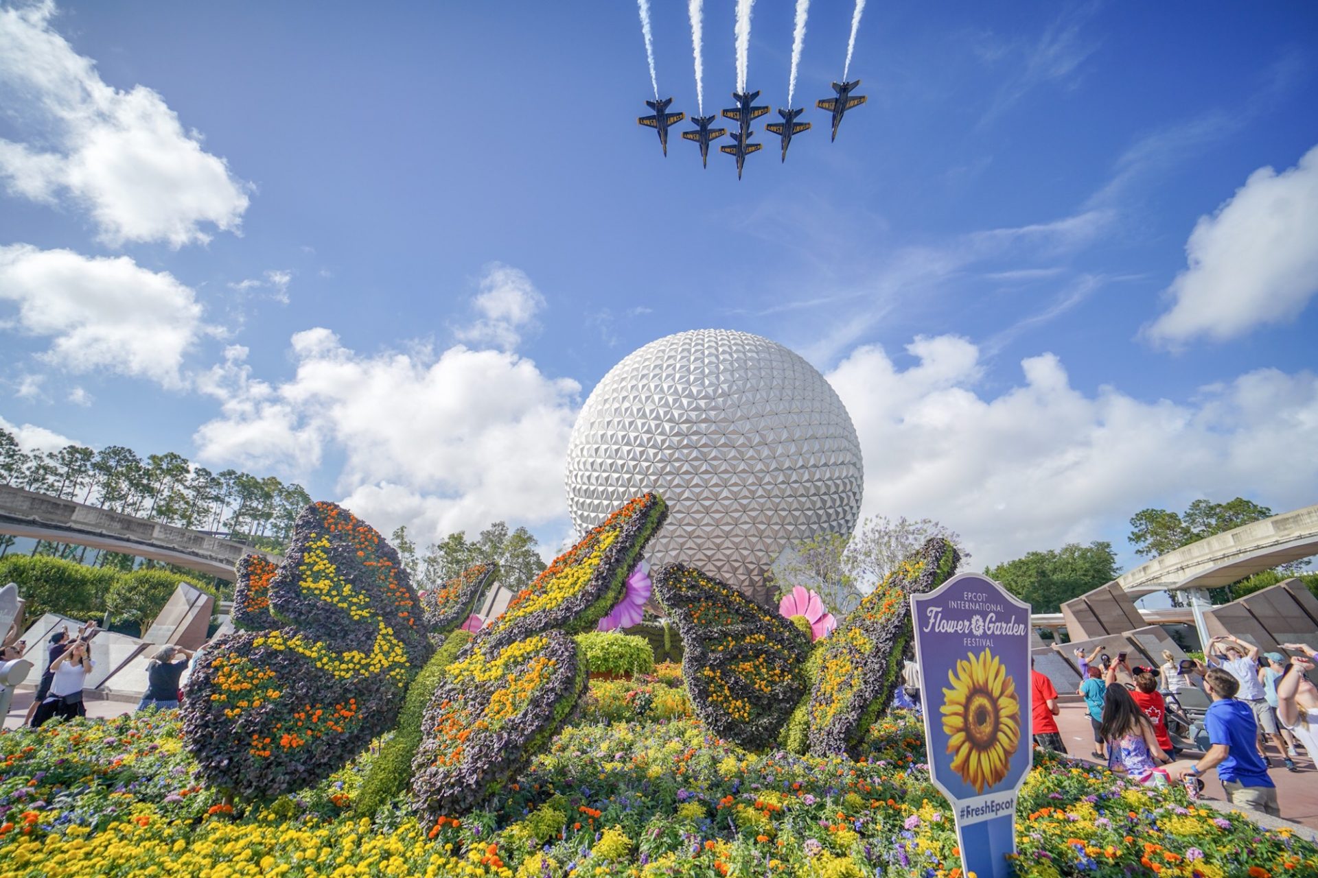 Disneyland President Shares Video of Air Force Thunderbirds Flying Over ...