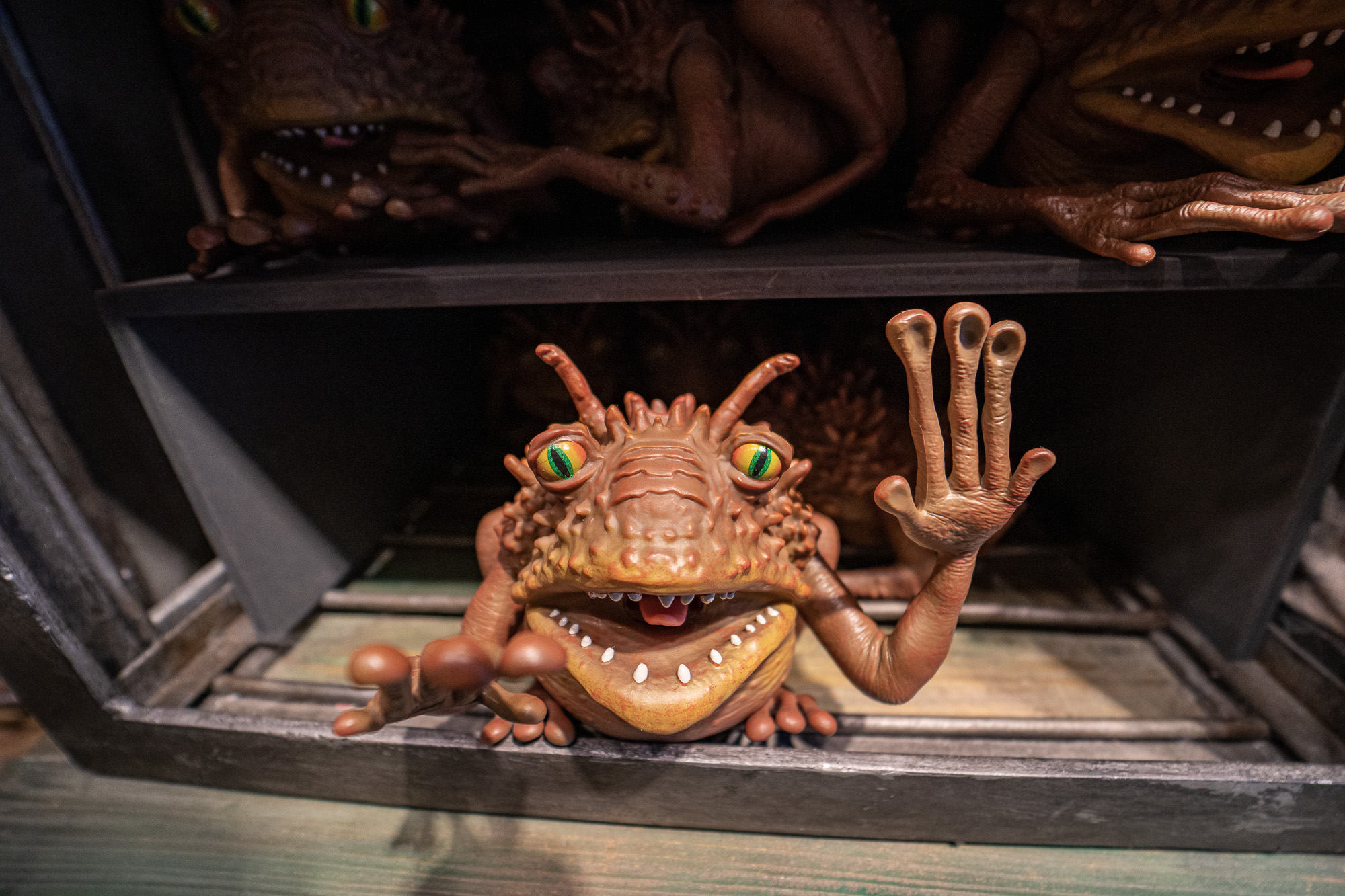 Creature Stall Prices and Merchandise Items at Star Wars: Galaxy's Edge