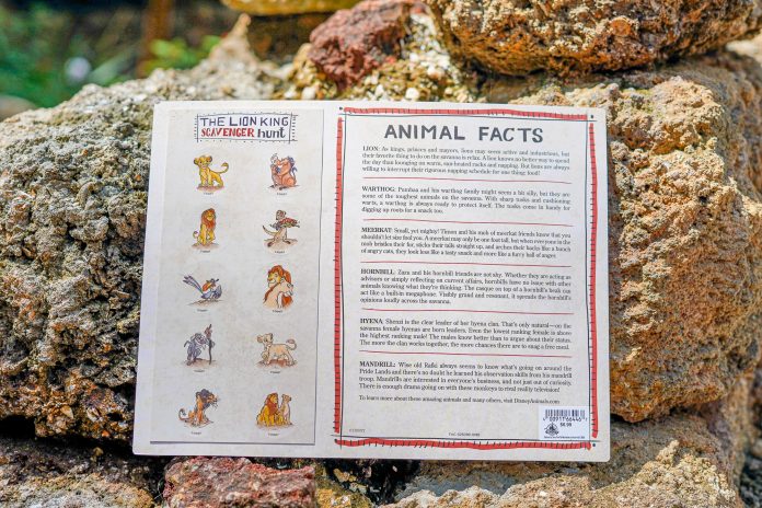 'The Lion King' Scavenger Hunt Review at Disney's Animal Kingdom