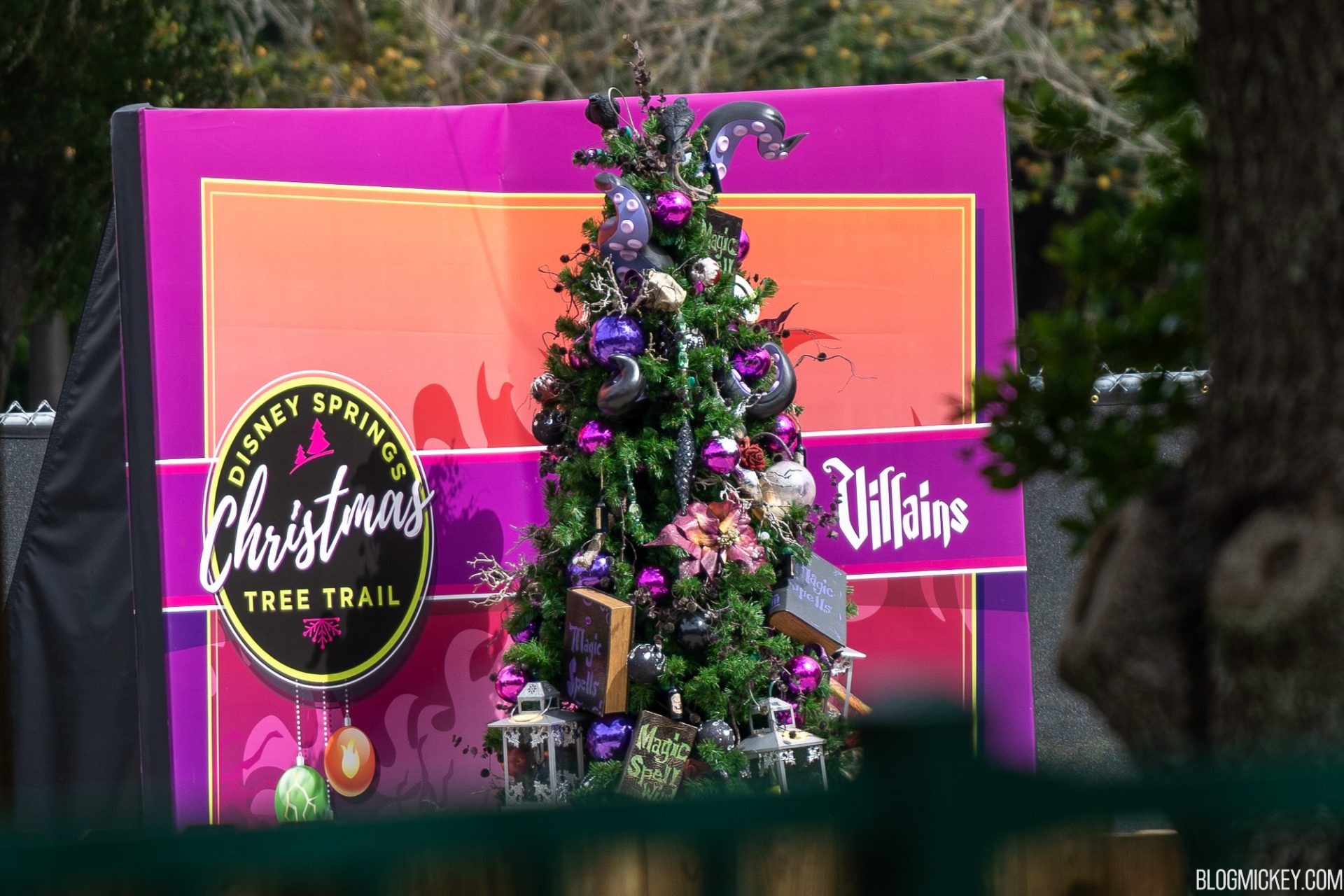 Disney Springs Christmas Tree Trail Construction Begins; Sneak Peek at ...