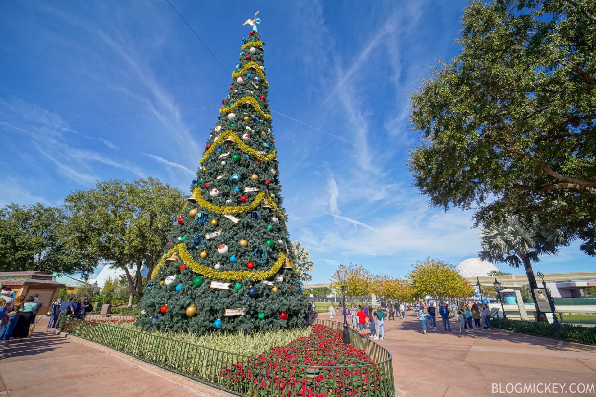 Epcot Christmas Tree Installed for 2019 Holiday Season