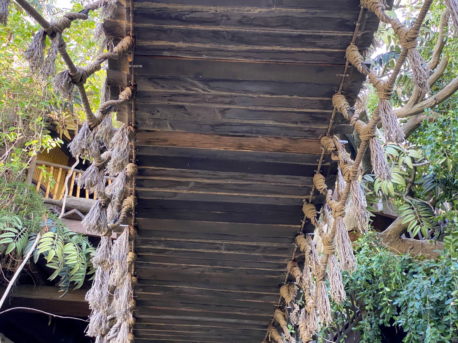 Tarzan's Treehouse Reopens After Guest Breaks Bridge at Disneyland
