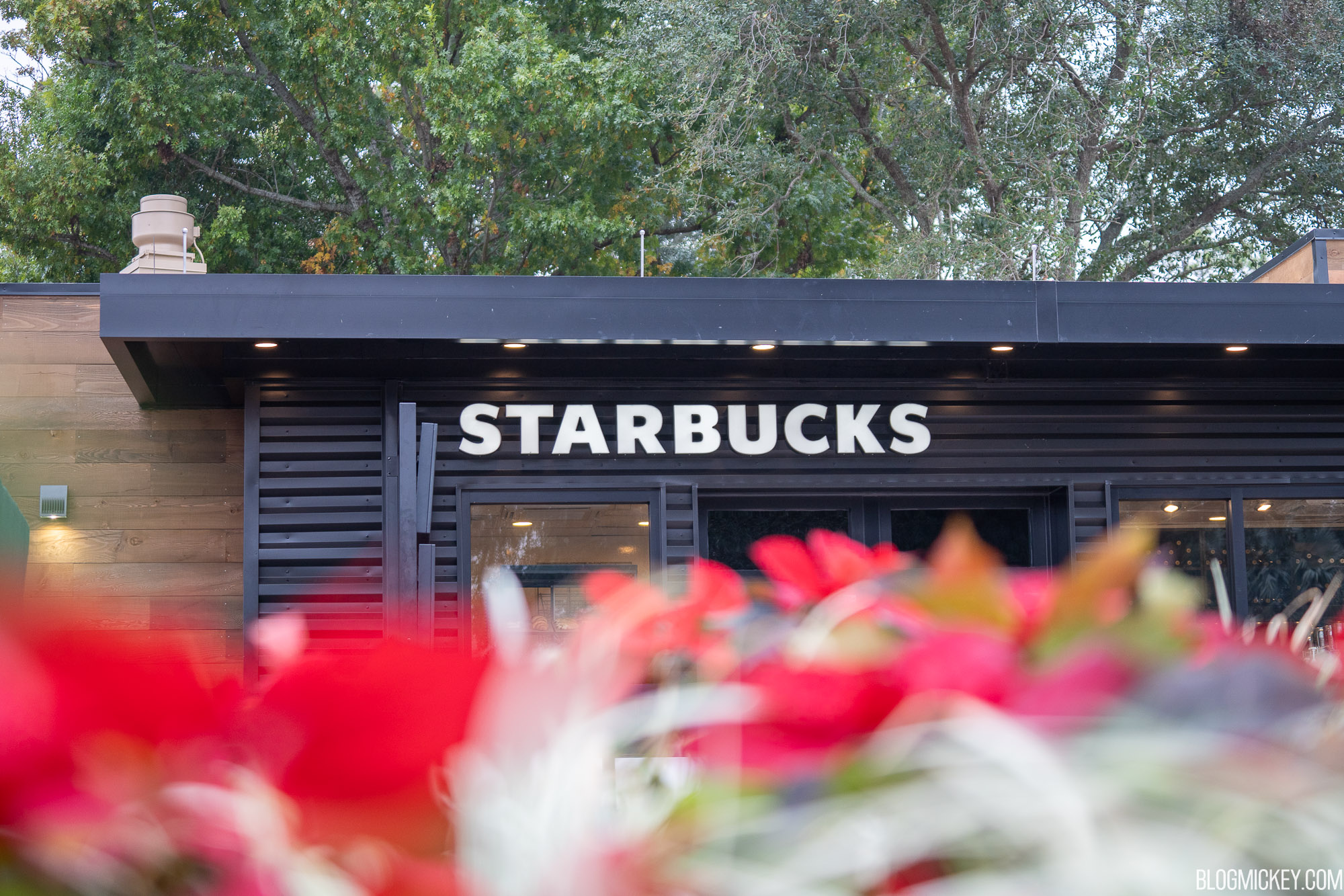 Temporary Epcot Starbucks Now Open; Named "Traveler's Cafe"