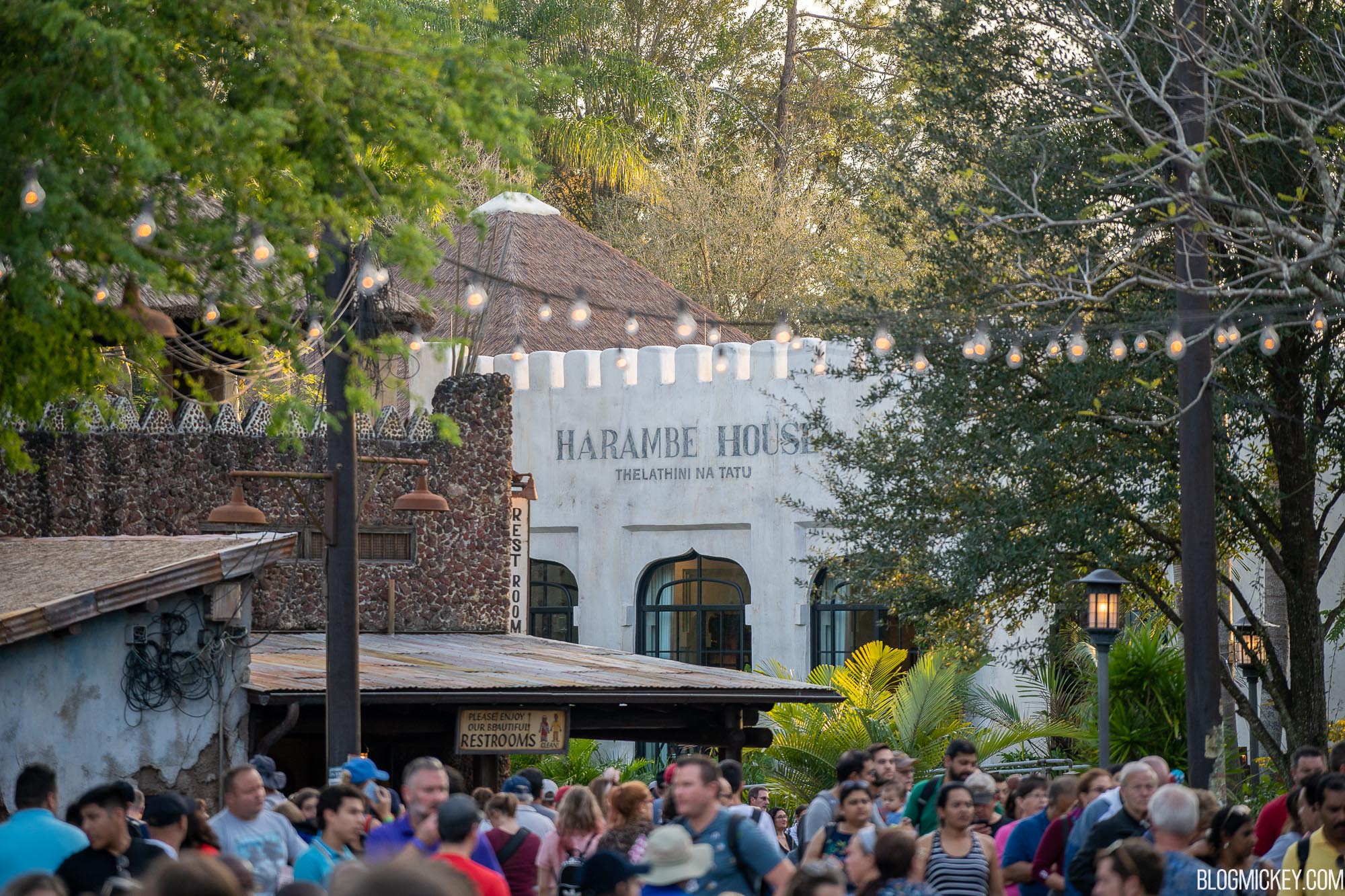 Sneak Peek Inside Animal Kingdom's Club 33 - Harambe House
