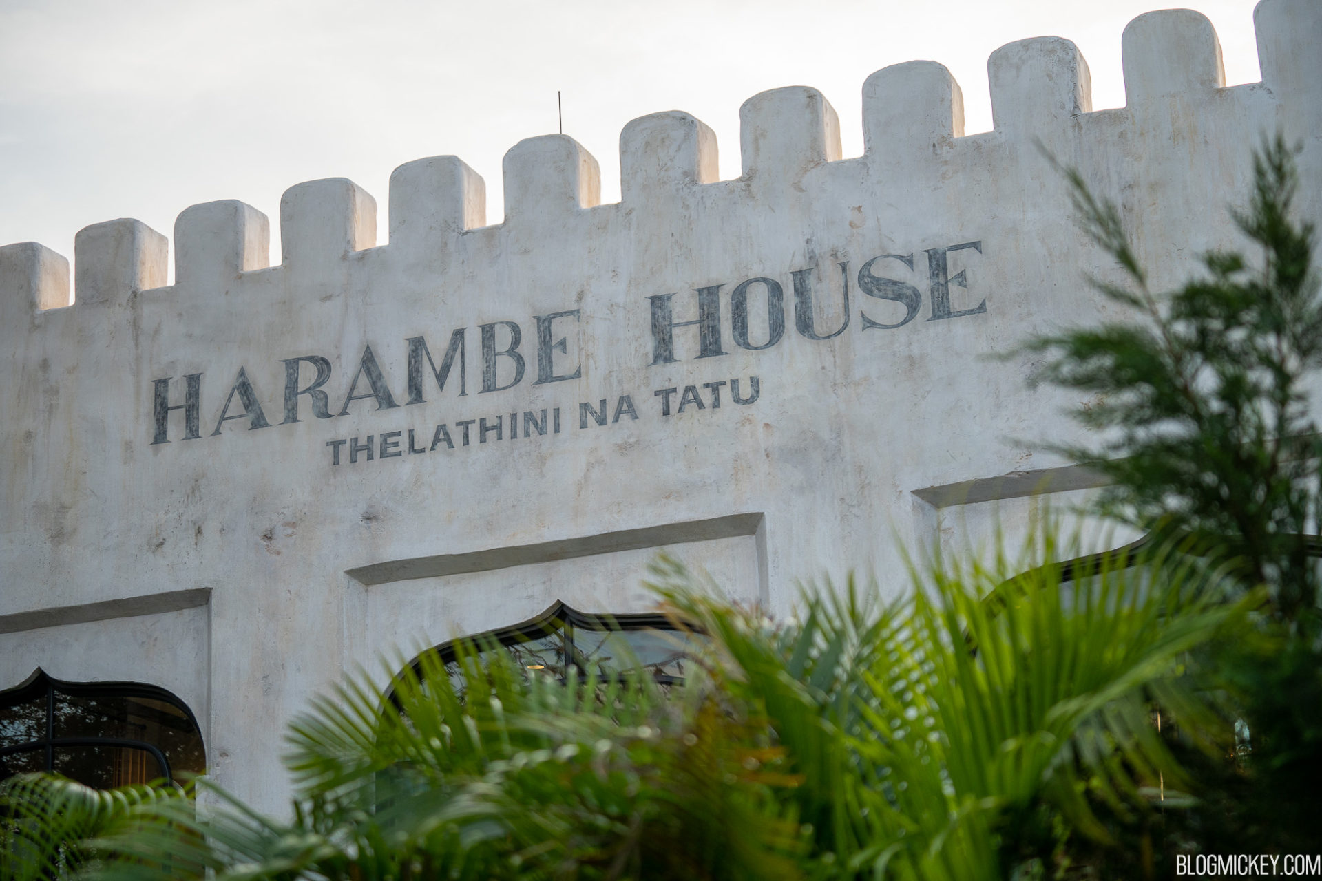 Sneak Peek Inside Animal Kingdom's Club 33 - Harambe House