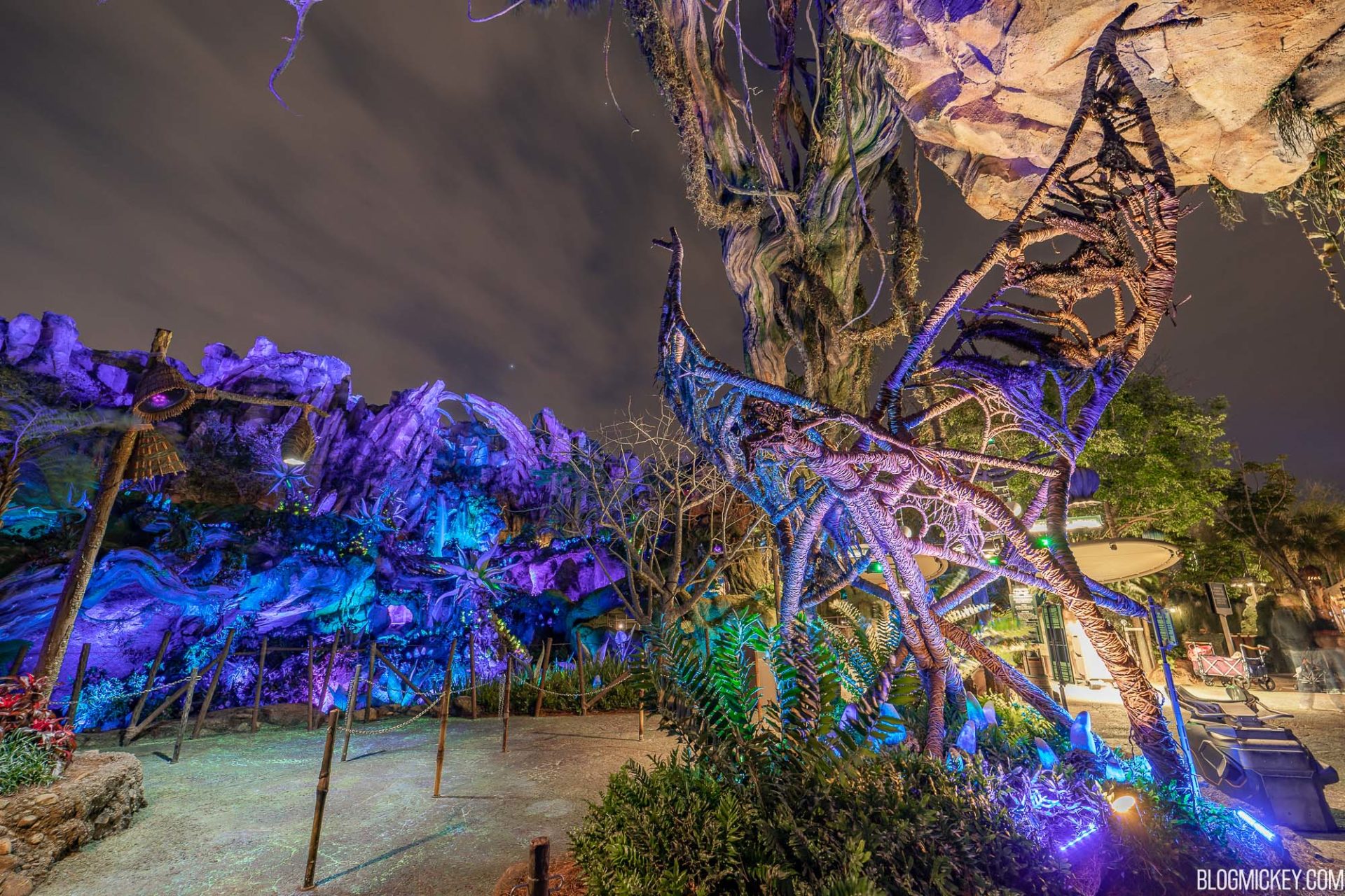Flight of Passage Ride in Pandora - The World of Avatar