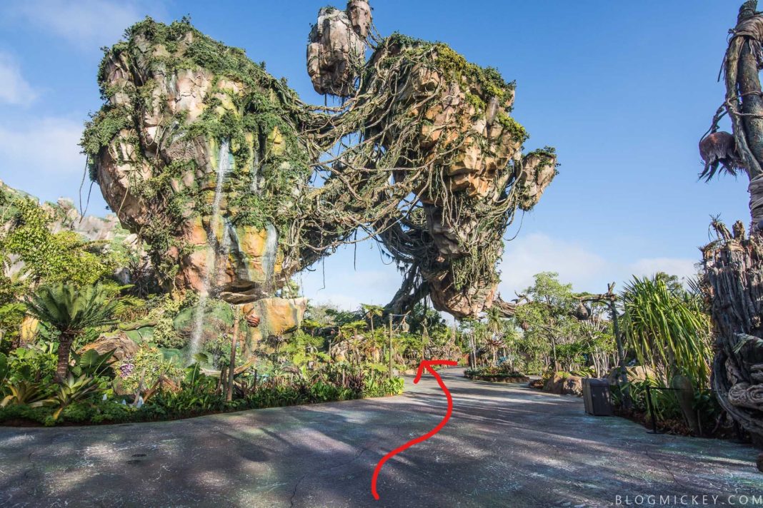 Flight of Passage Ride in Pandora - The World of Avatar