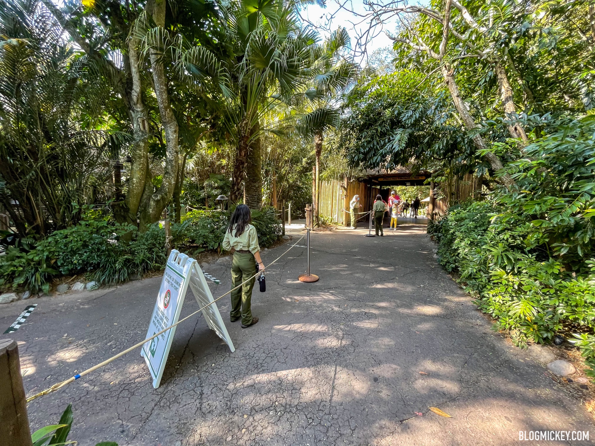 Gorilla Falls Exploration Trail Modifications: Shorter Trail, Fewer ...