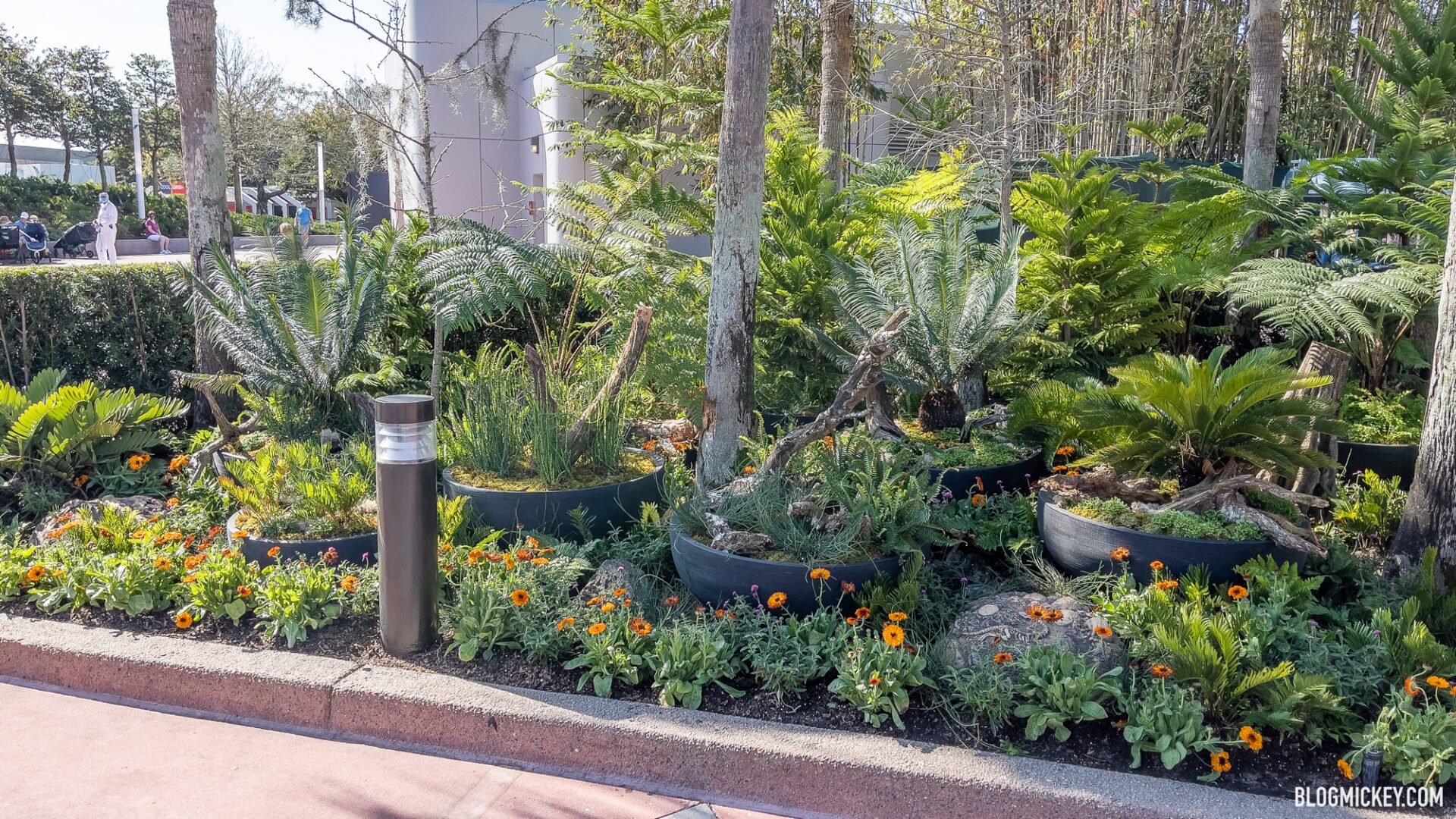 NEW Prehistoric Garden Debuts for 2021 EPCOT International Flower and ...