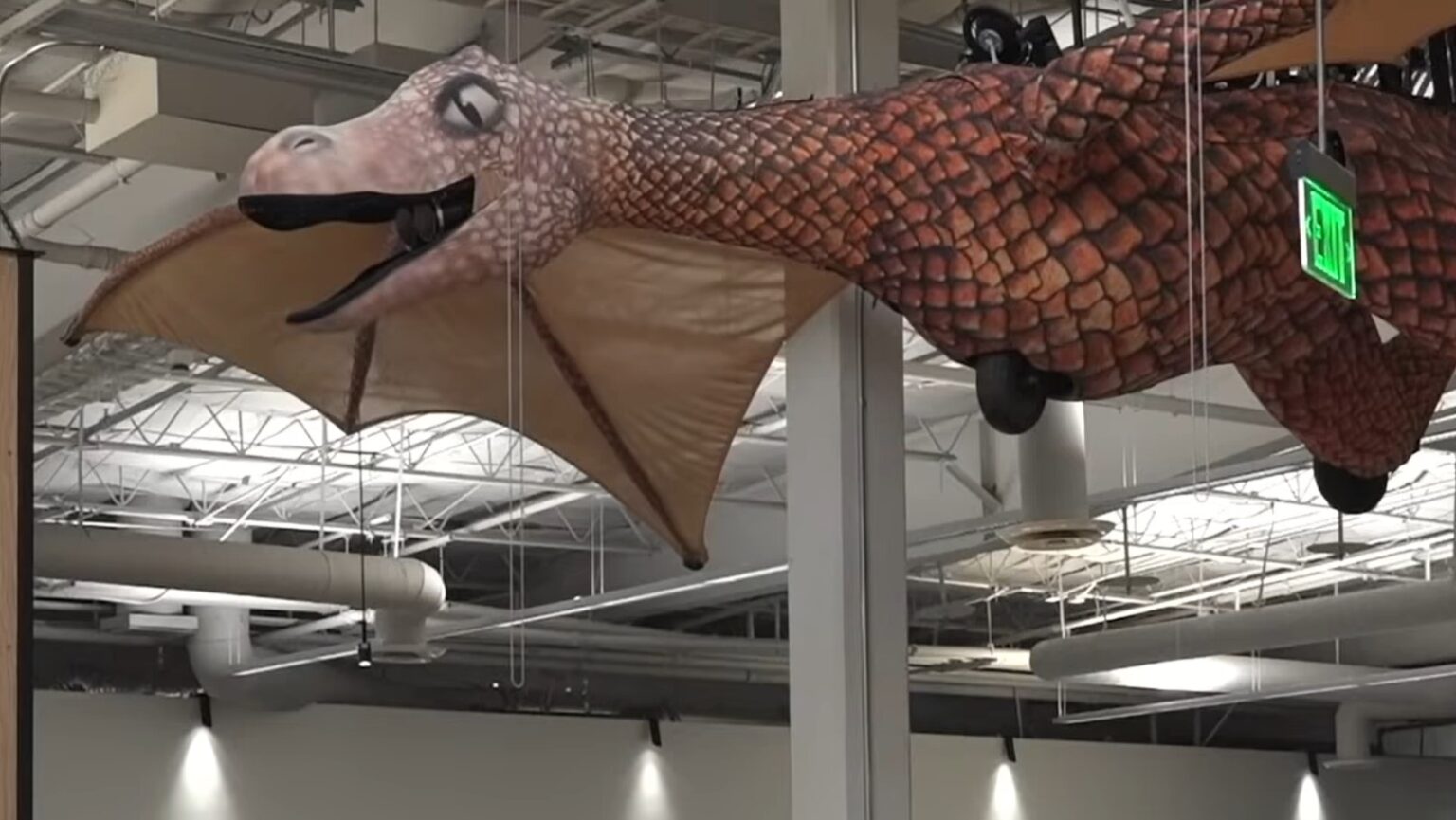 Infamous Flying Fantasyland Dragon Finds Home in Walt Disney ...