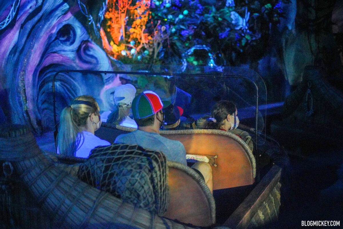 Na'vi River Journey Ride in Pandora - The World of Avatar