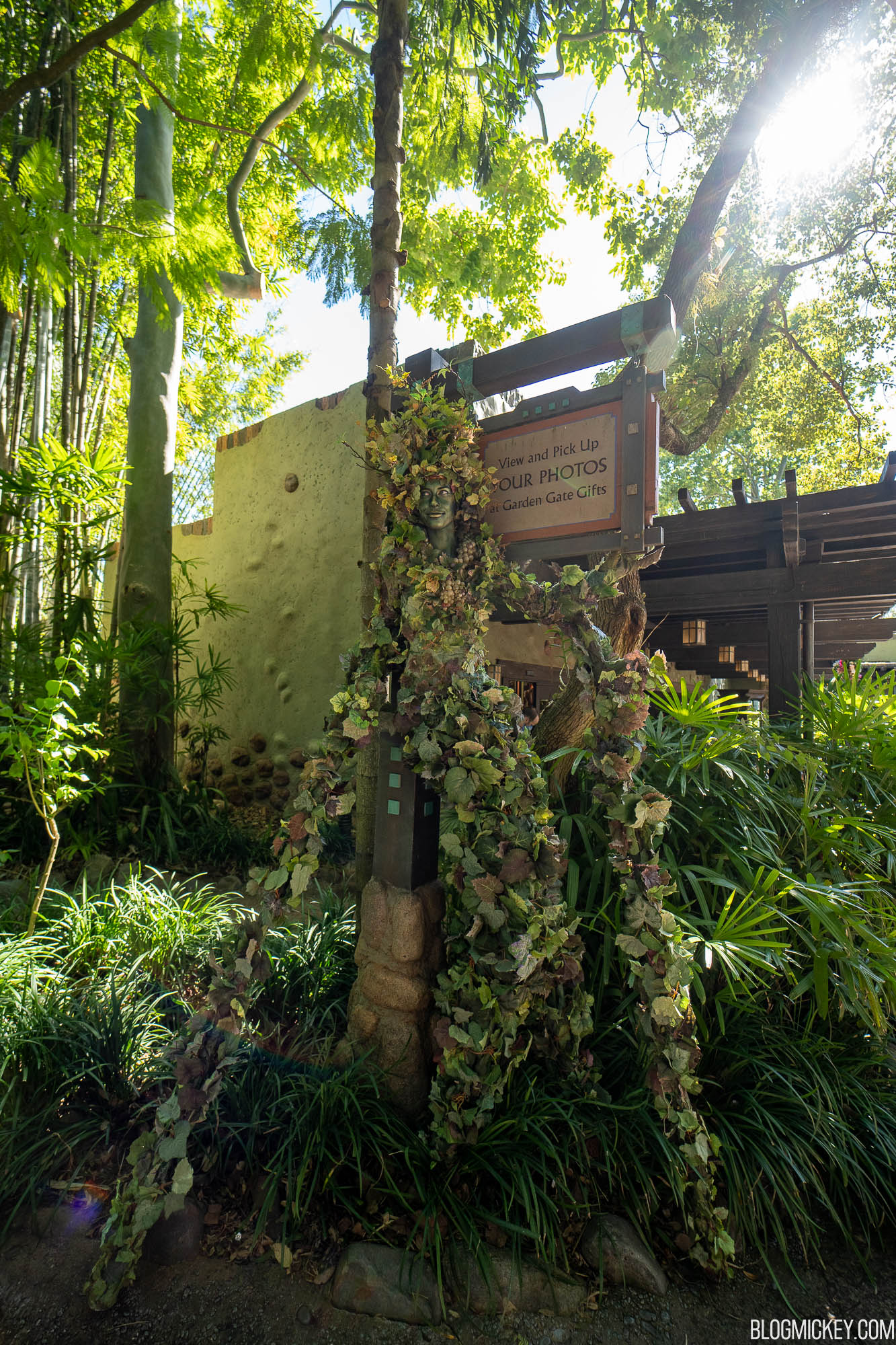 DiVine Returns to Disney's Animal Kingdom