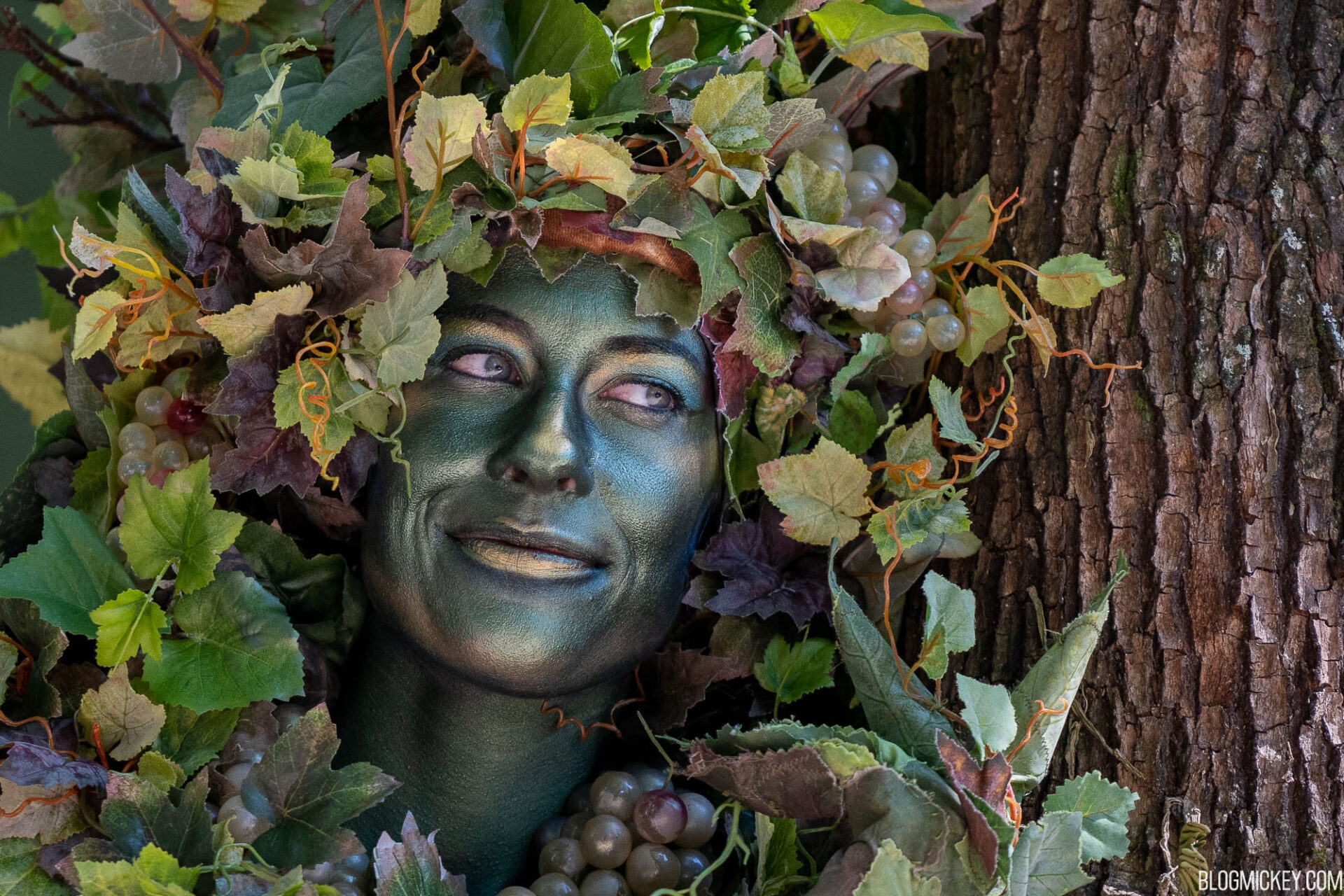 DiVine Returns to Disney's Animal Kingdom