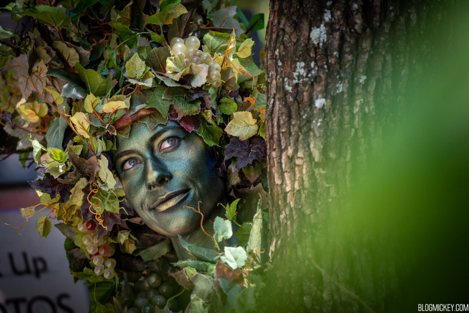 DiVine Returns to Disney's Animal Kingdom
