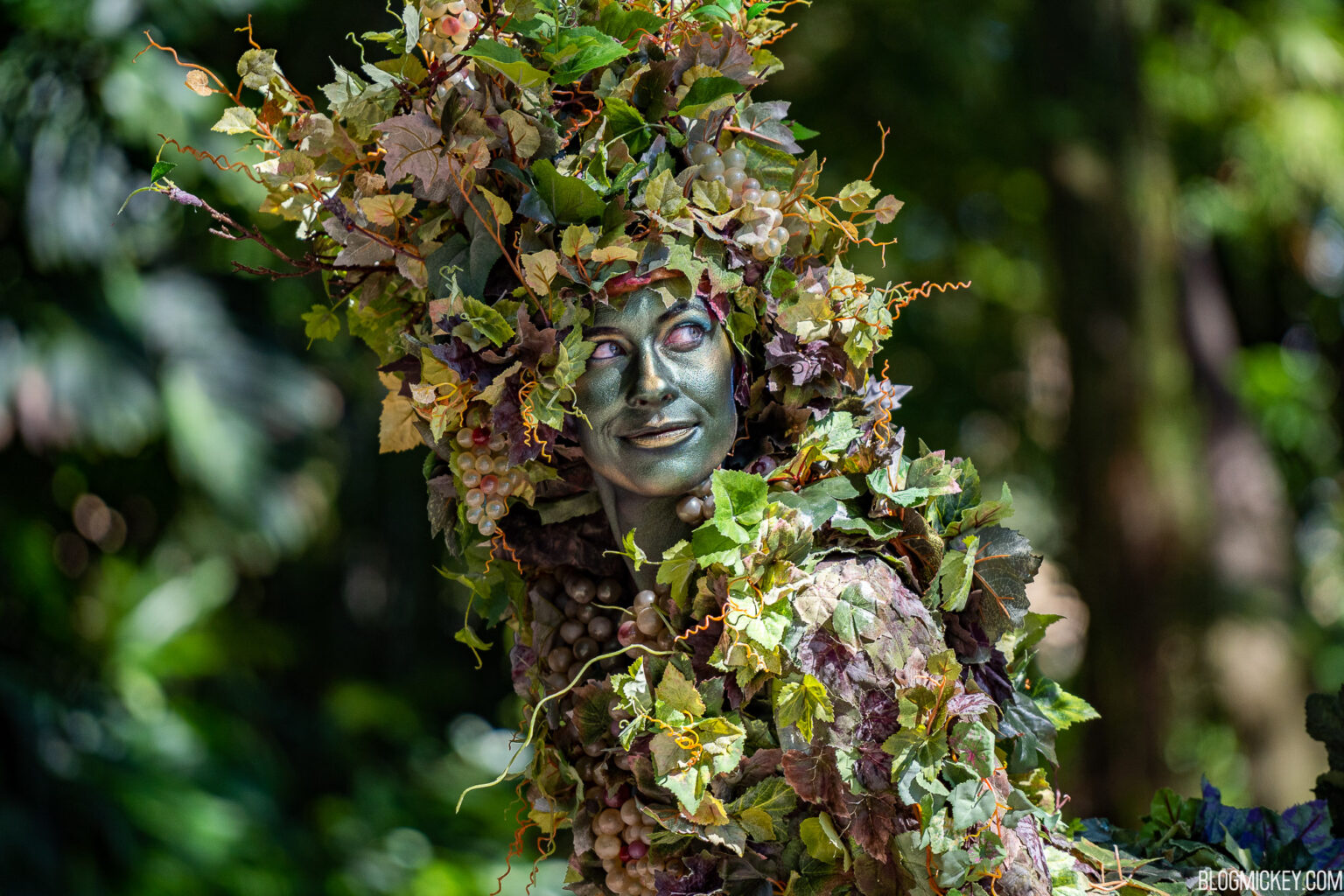 DiVine Returns to Disney's Animal Kingdom