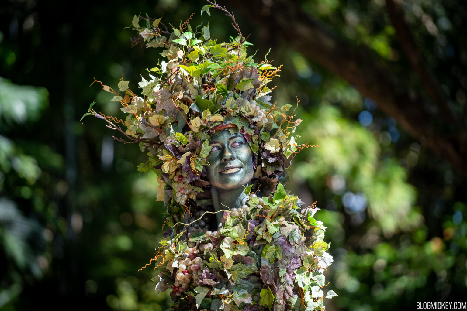DiVine Returns to Disney's Animal Kingdom
