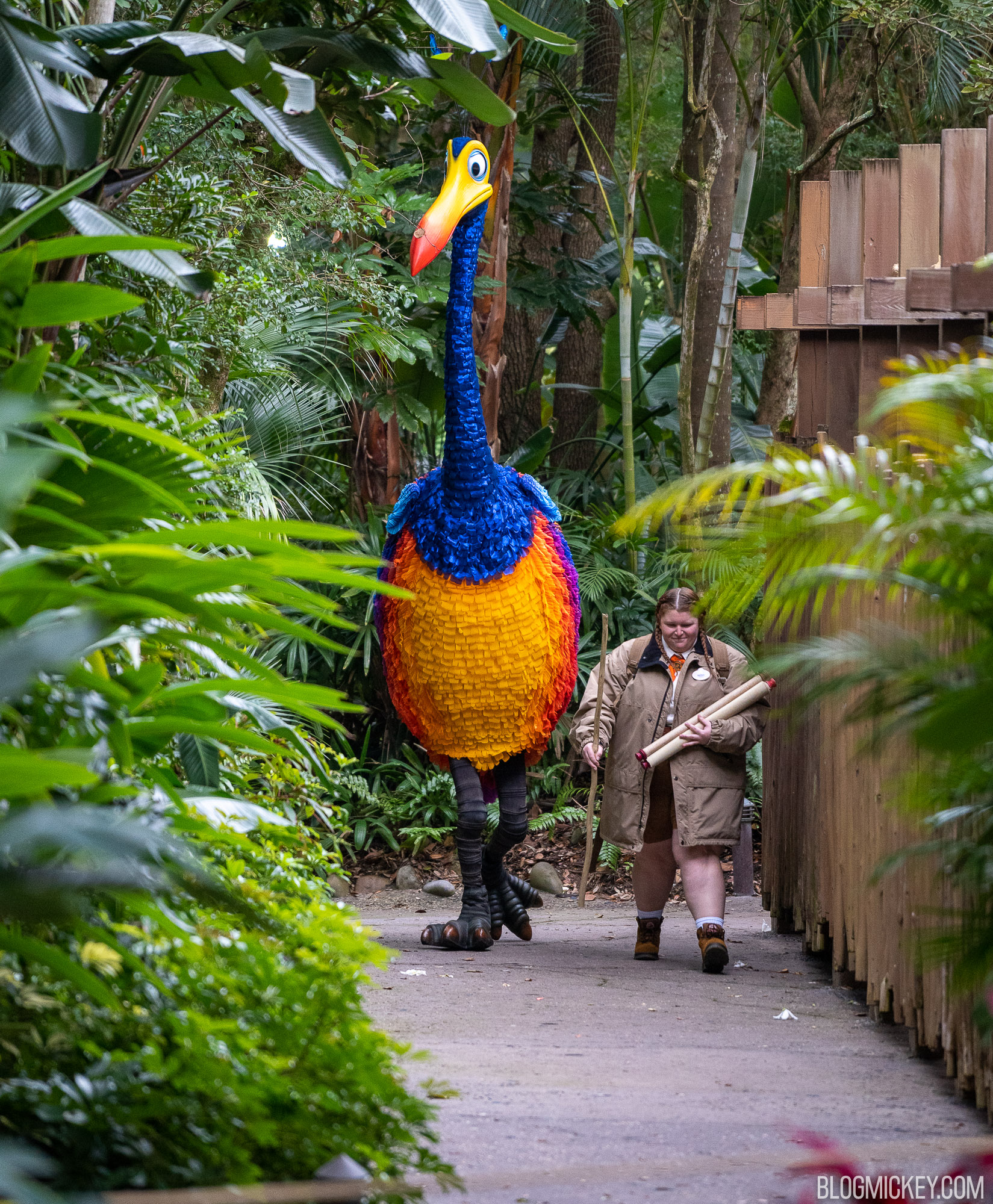 Kevin from 'UP' Returns to Animal Kingdom