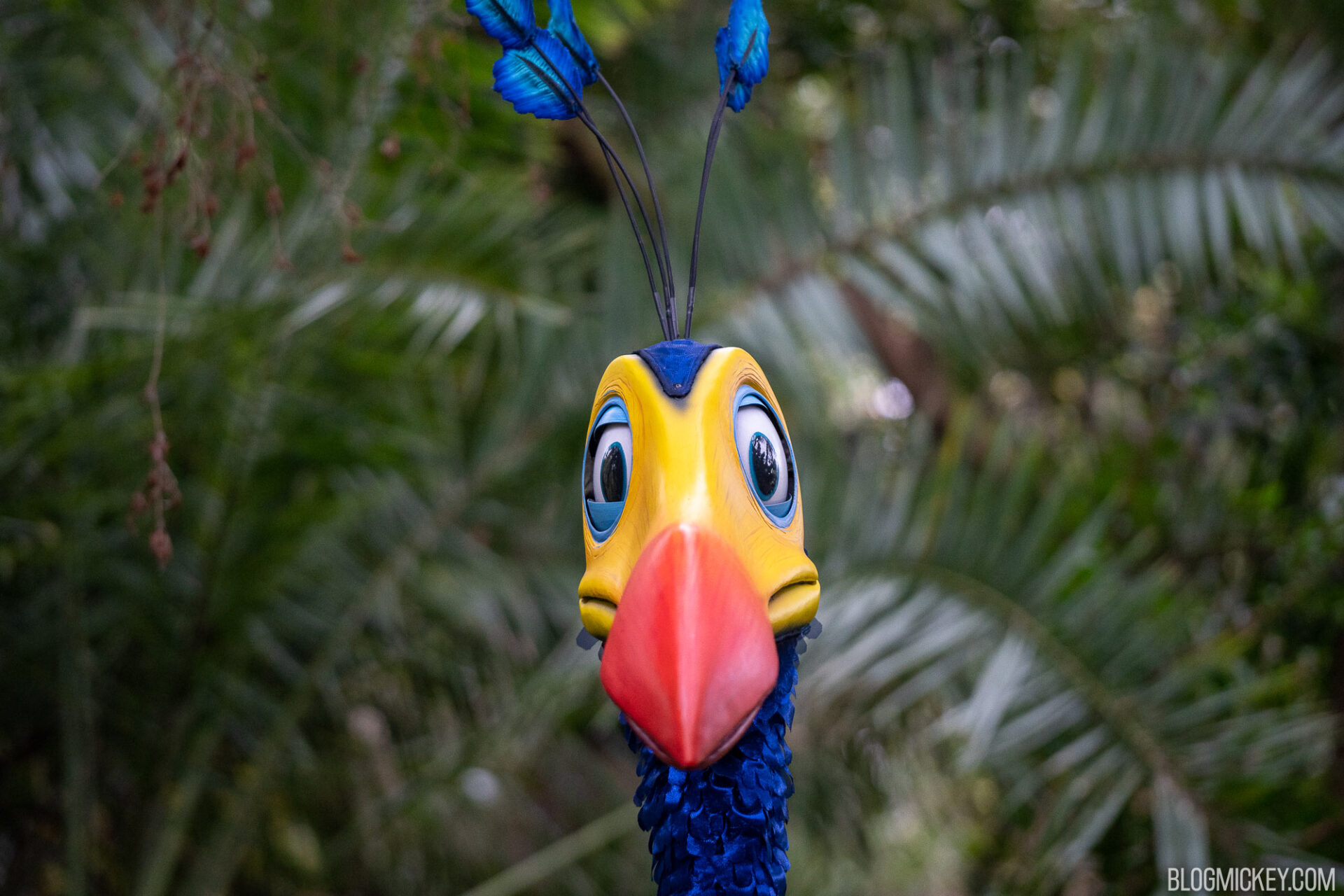 Kevin from 'UP' Returns to Animal Kingdom