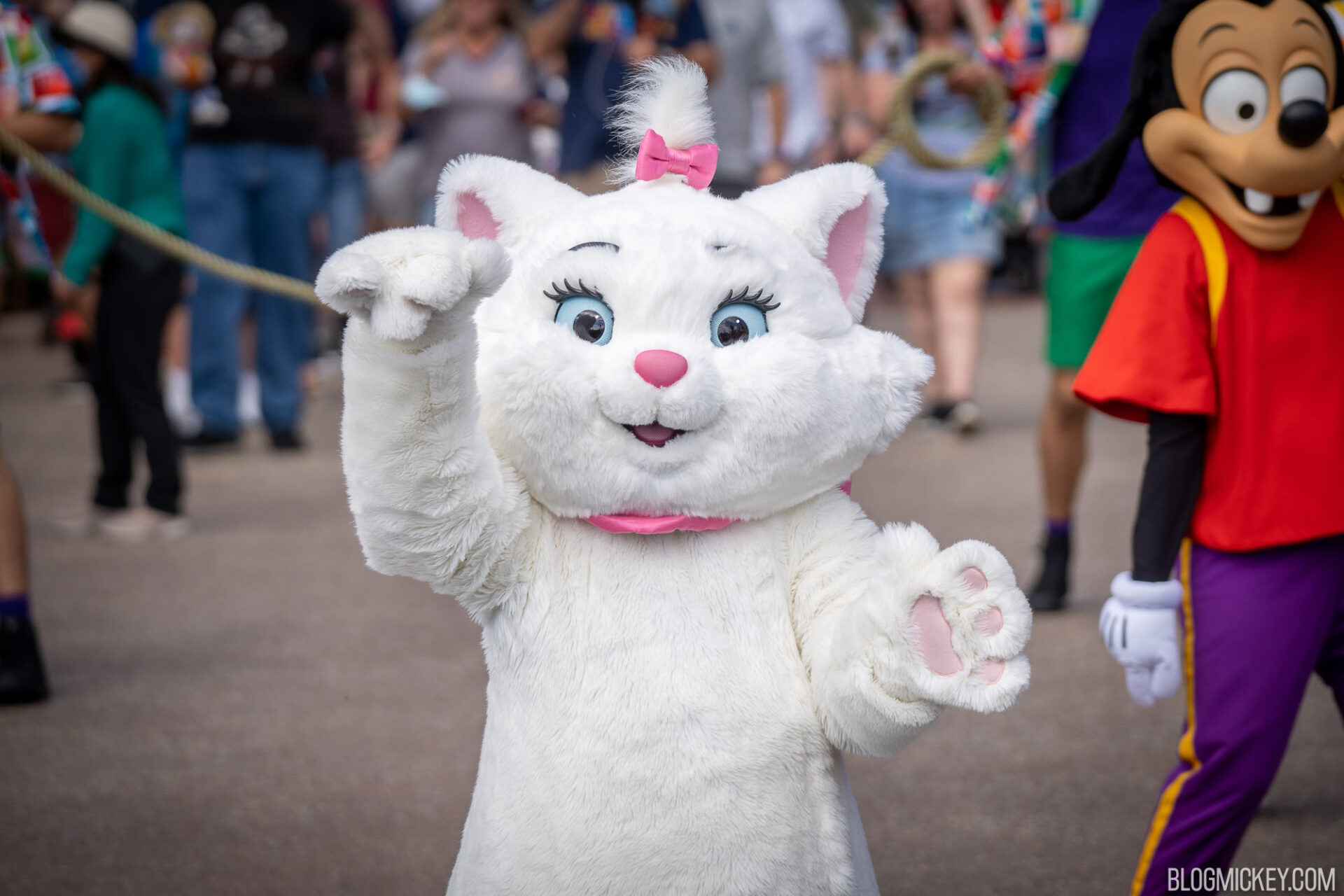 PHOTOS, VIDEO: Disney Adventure Friends Cavalcade Debuts at Magic Kingdom