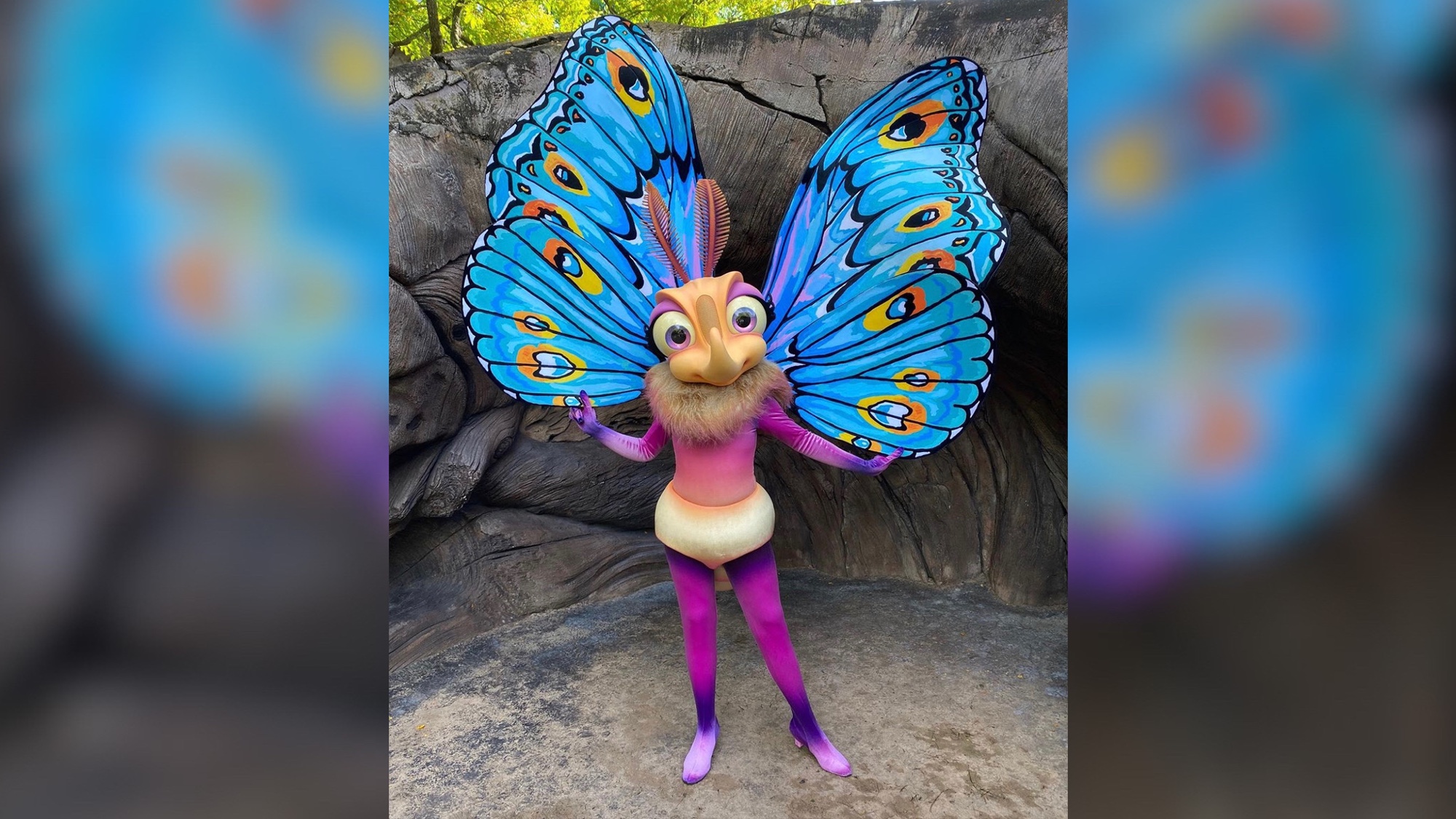 'Gypsy Moth' Character Meet and Greet Debuts for Earth Week at Disney's ...