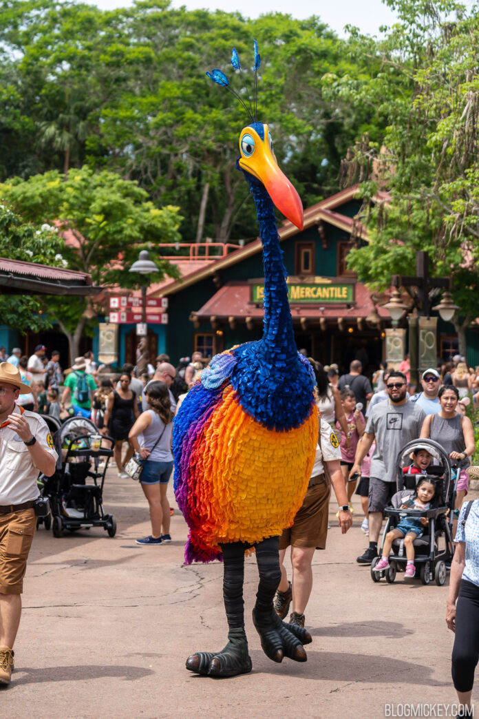 Kevin Returns to Roaming at Disney's Animal Kingdom