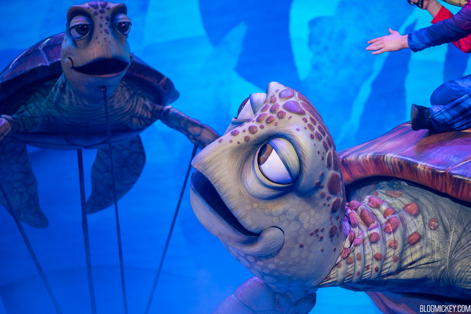 PHOTOS: 'Finding Nemo: The Big Blue...and Beyond!' Show at Disney's ...
