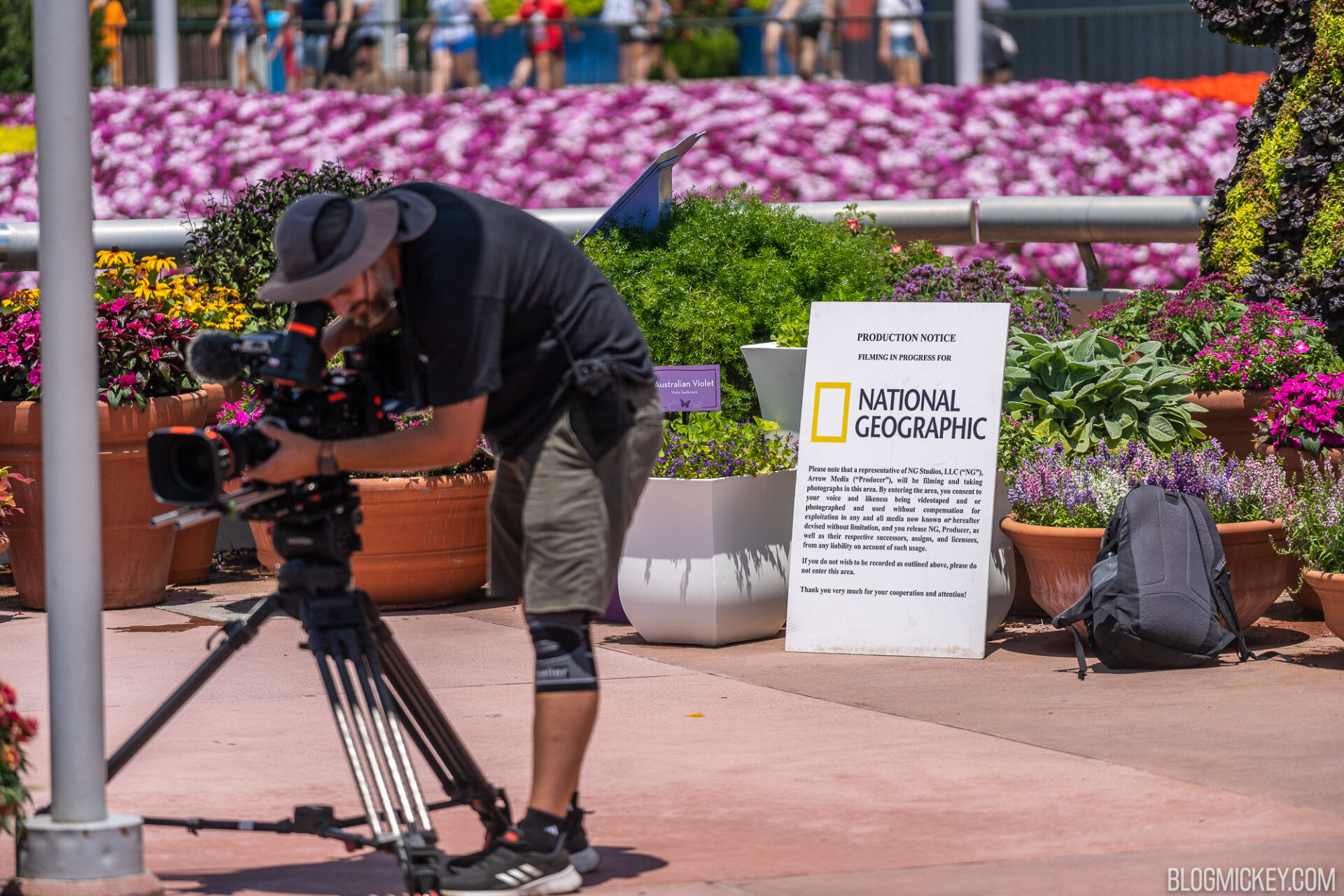 National Geographic Filming at EPCOT