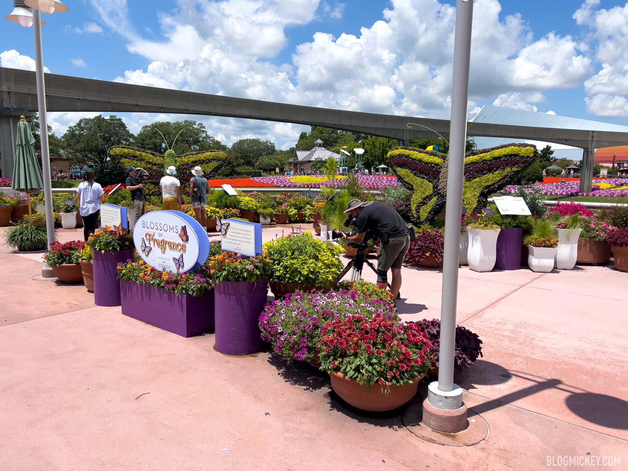 National Geographic Filming at EPCOT