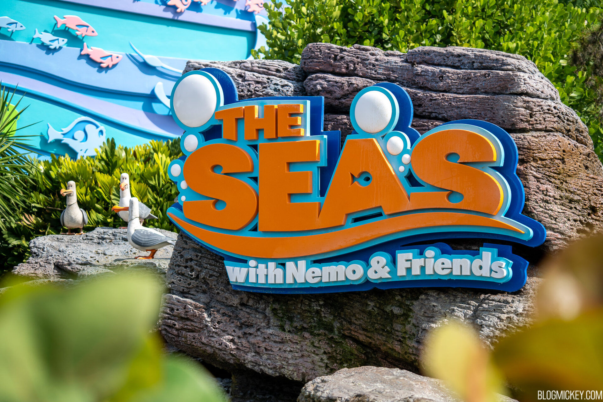 Seagulls Removed from The Seas with Nemo & Friends Attraction Entrance