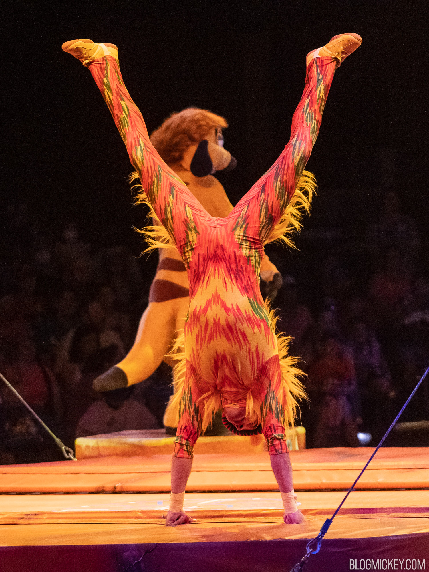 VIDEO, PHOTOS: Full Festival of the Lion King Show Returns to Disney's ...