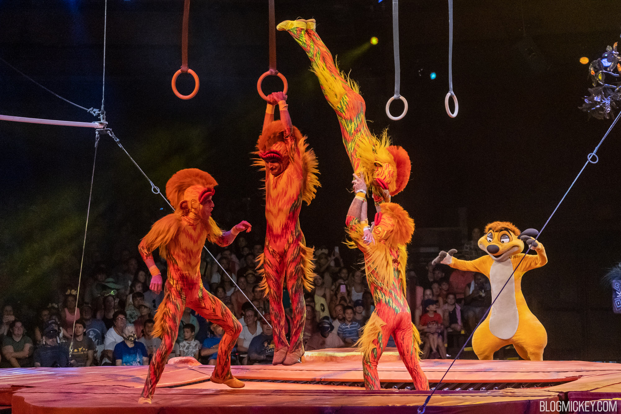 VIDEO, PHOTOS: Full Festival of the Lion King Show Returns to Disney's ...