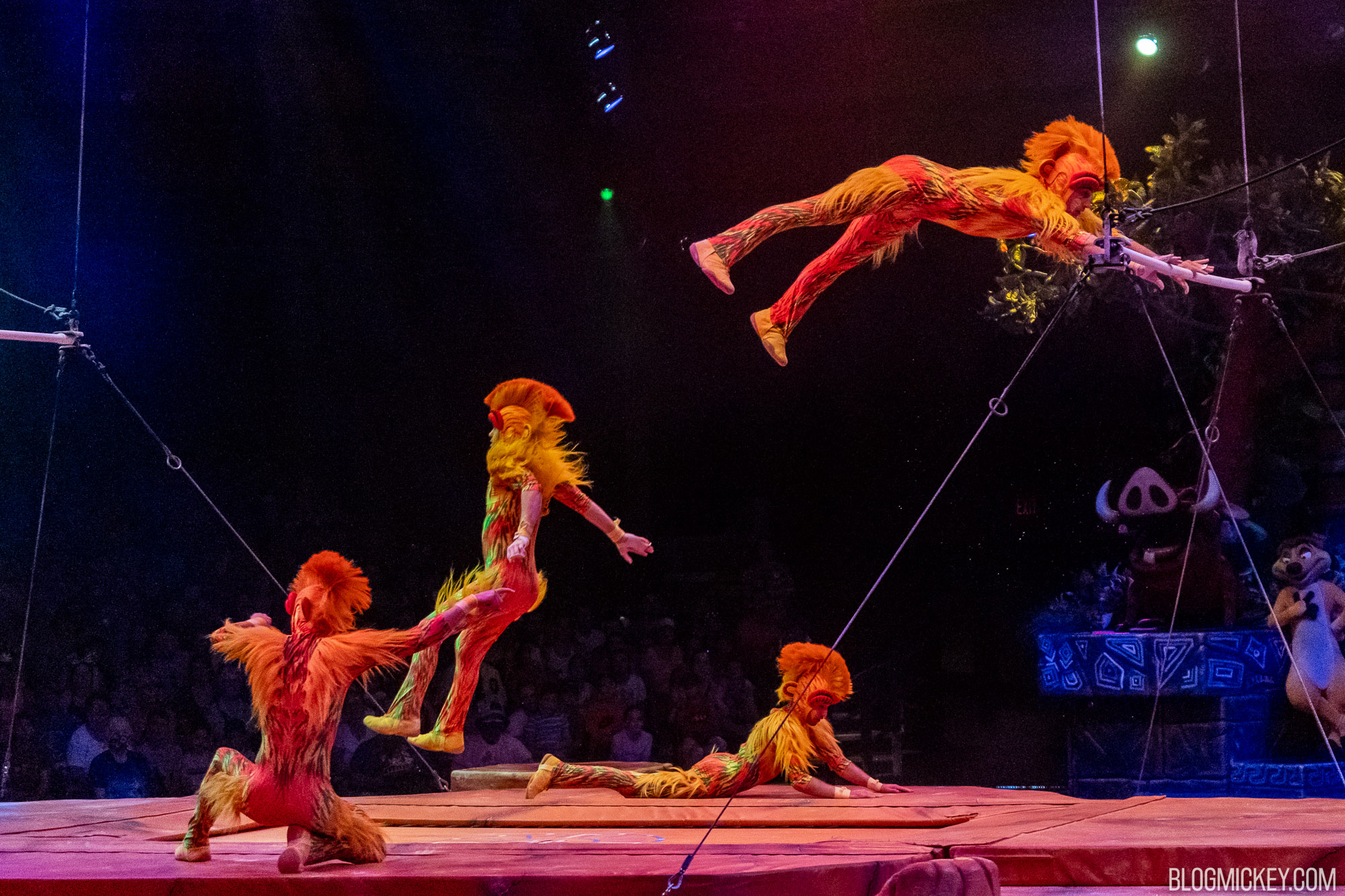 VIDEO, PHOTOS: Full Festival of the Lion King Show Returns to Disney's ...