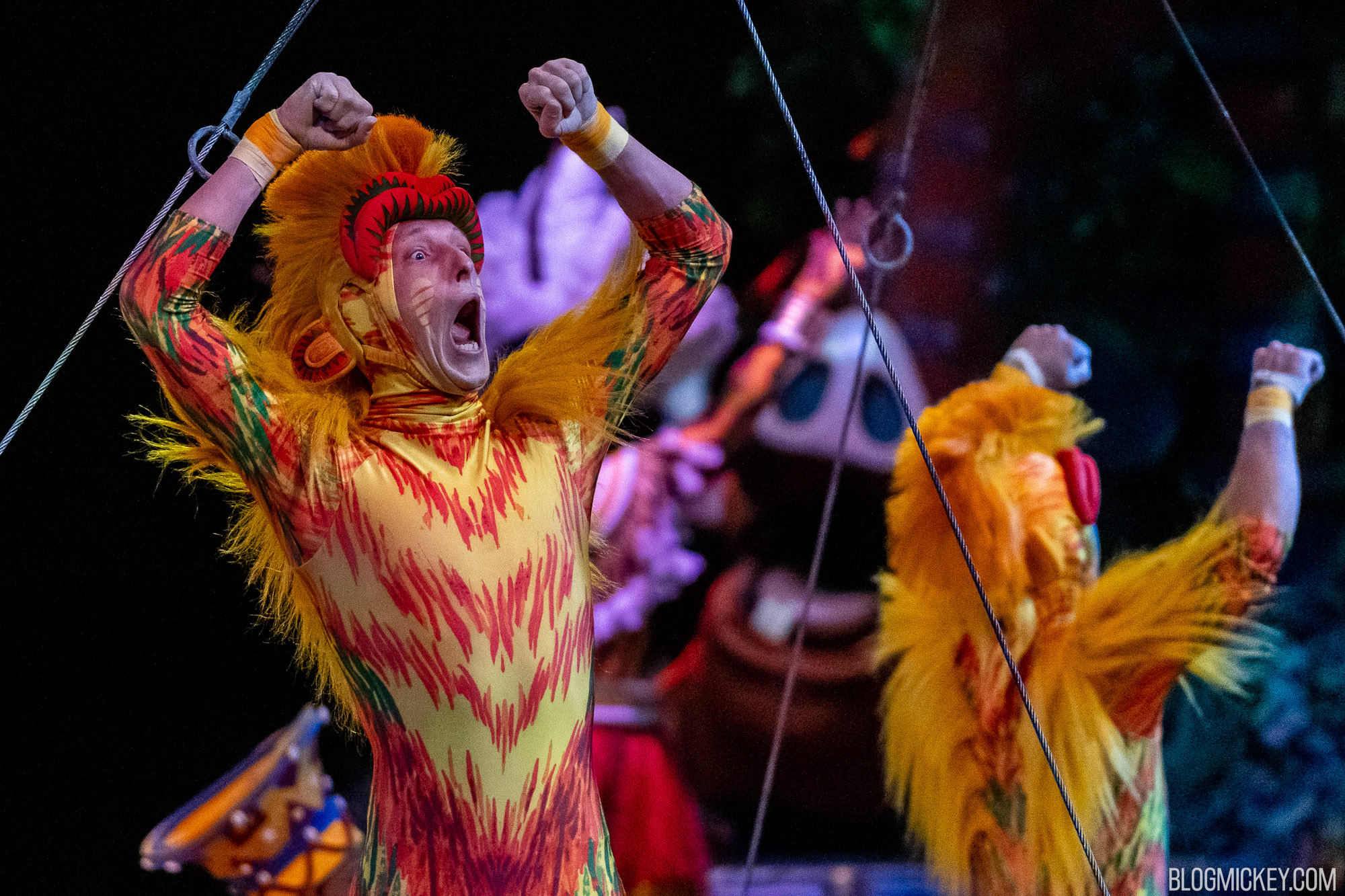 VIDEO, PHOTOS: Full Festival of the Lion King Show Returns to Disney's ...