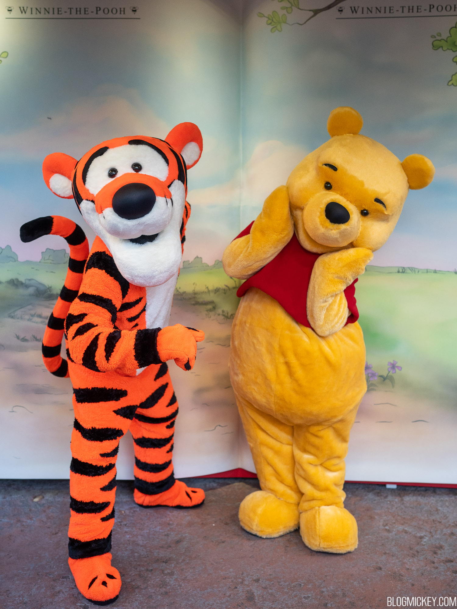 Winnie the Pooh & Friends Meet and Greet Returns to Magic Kingdom