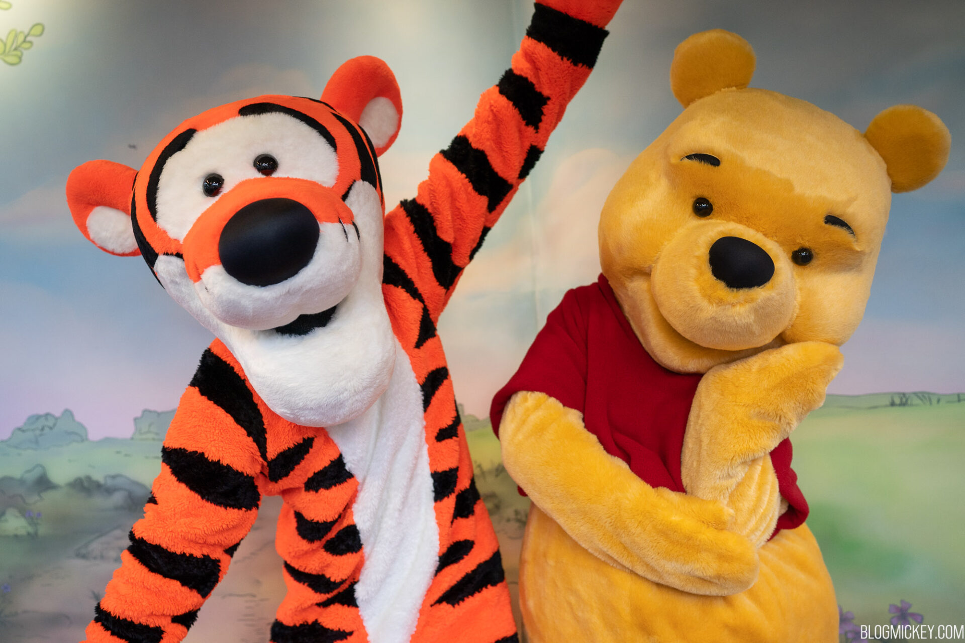 Winnie the Pooh & Friends Meet and Greet Returns to Magic Kingdom