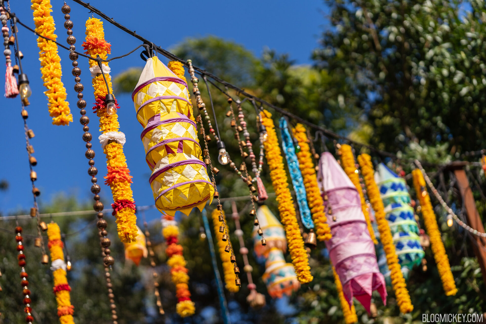 Diwali Decorations Installed in Asia at Disney's Animal Kingdom for ...