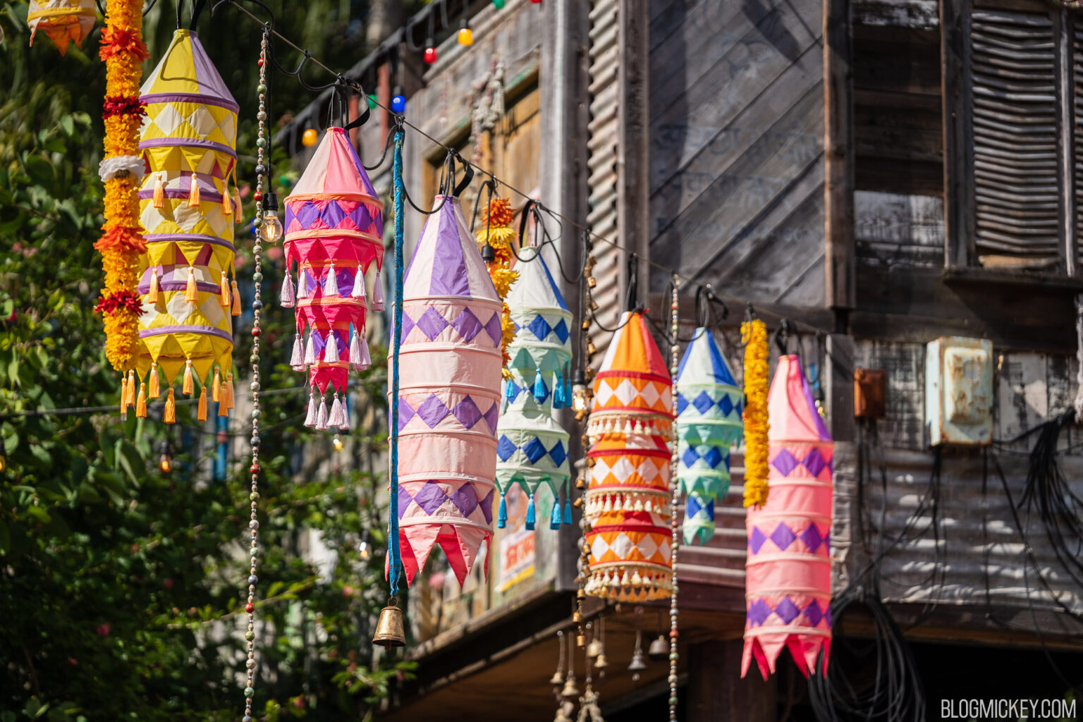 Diwali Decorations Installed in Asia at Disney's Animal Kingdom for ...