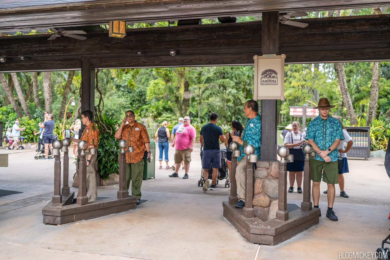 Mysterious Entrance Sign Installation Expands to Disney's Animal Kingdom