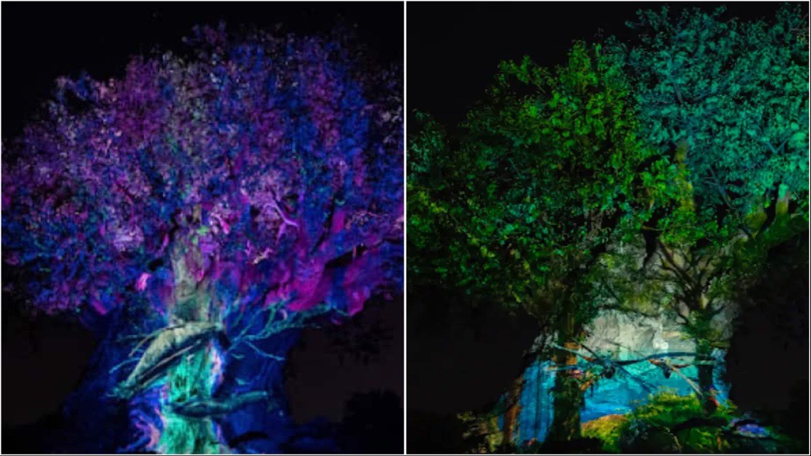 'Avatar: The Way of Water' Tree of Life Projection Show Coming to ...