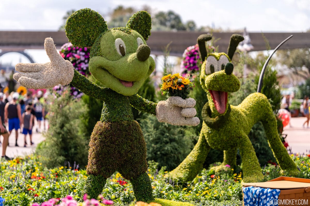 Mickey, Minnie, Pluto, Chip & Dale Topiaries Installed for 2023 EPCOT Flower & Garden Festival
