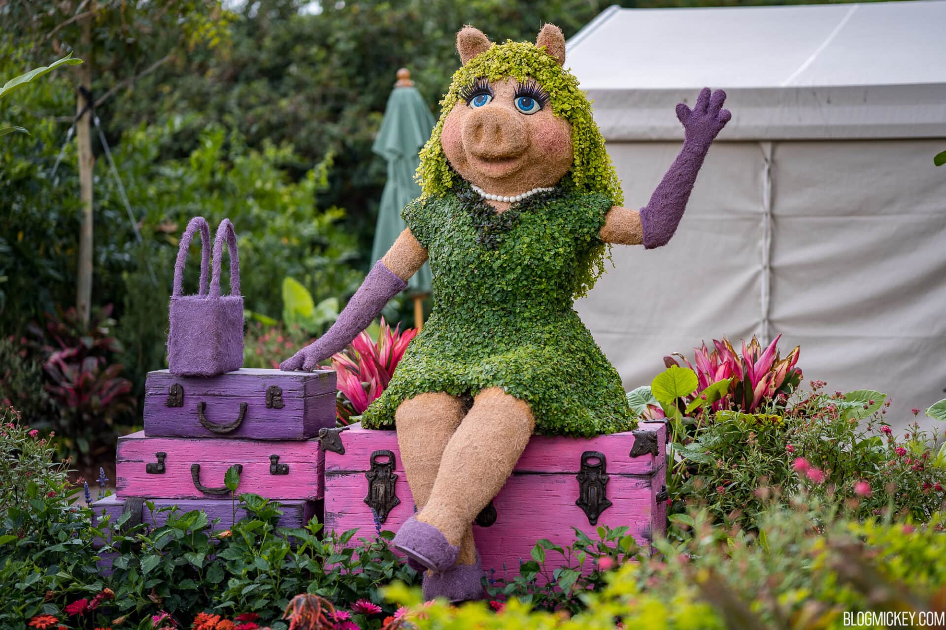 Miss Piggy & Kermit Topiaries Relocated Between France and Morocco for ...