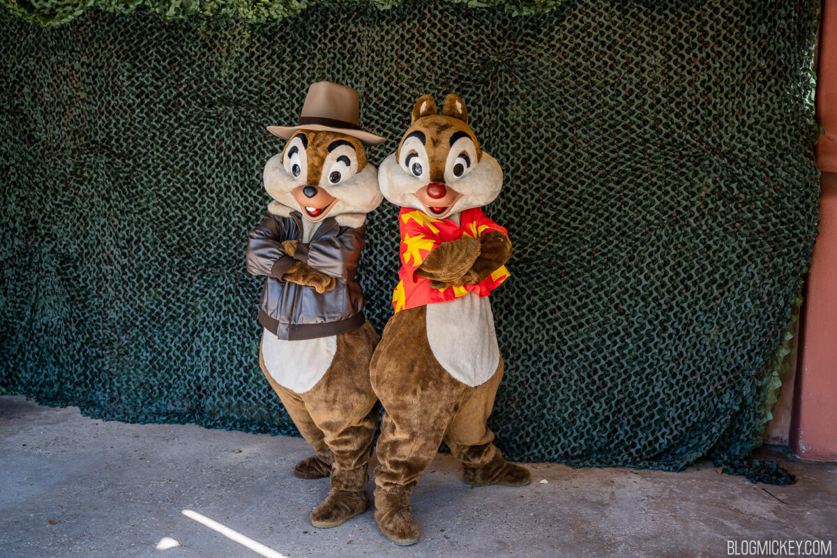 New Chip & Dale Rescue Rangers Meet and Greet Debuts at Disney's ...