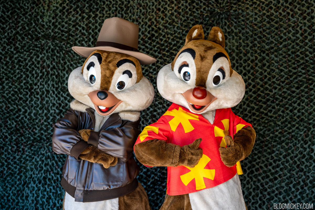 New Chip & Dale Rescue Rangers Meet and Greet Debuts at Disney's ...