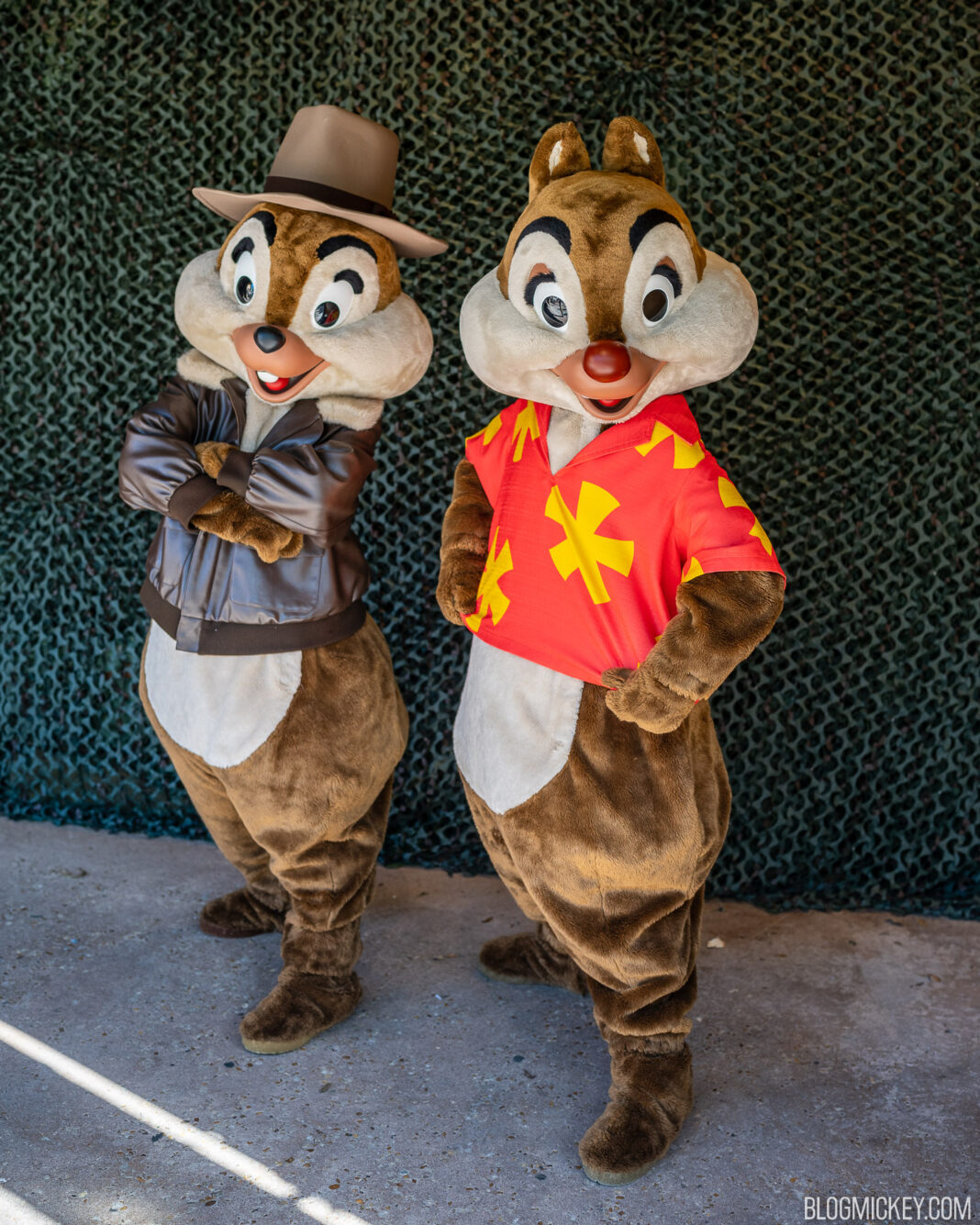 New Chip & Dale Rescue Rangers Meet and Greet Debuts at Disney's ...