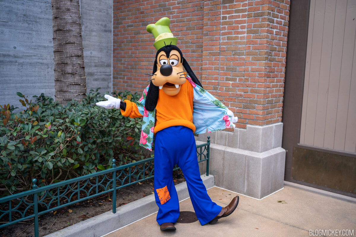 Schedule Posted for New Hollywood Studios Character Meet & Greets