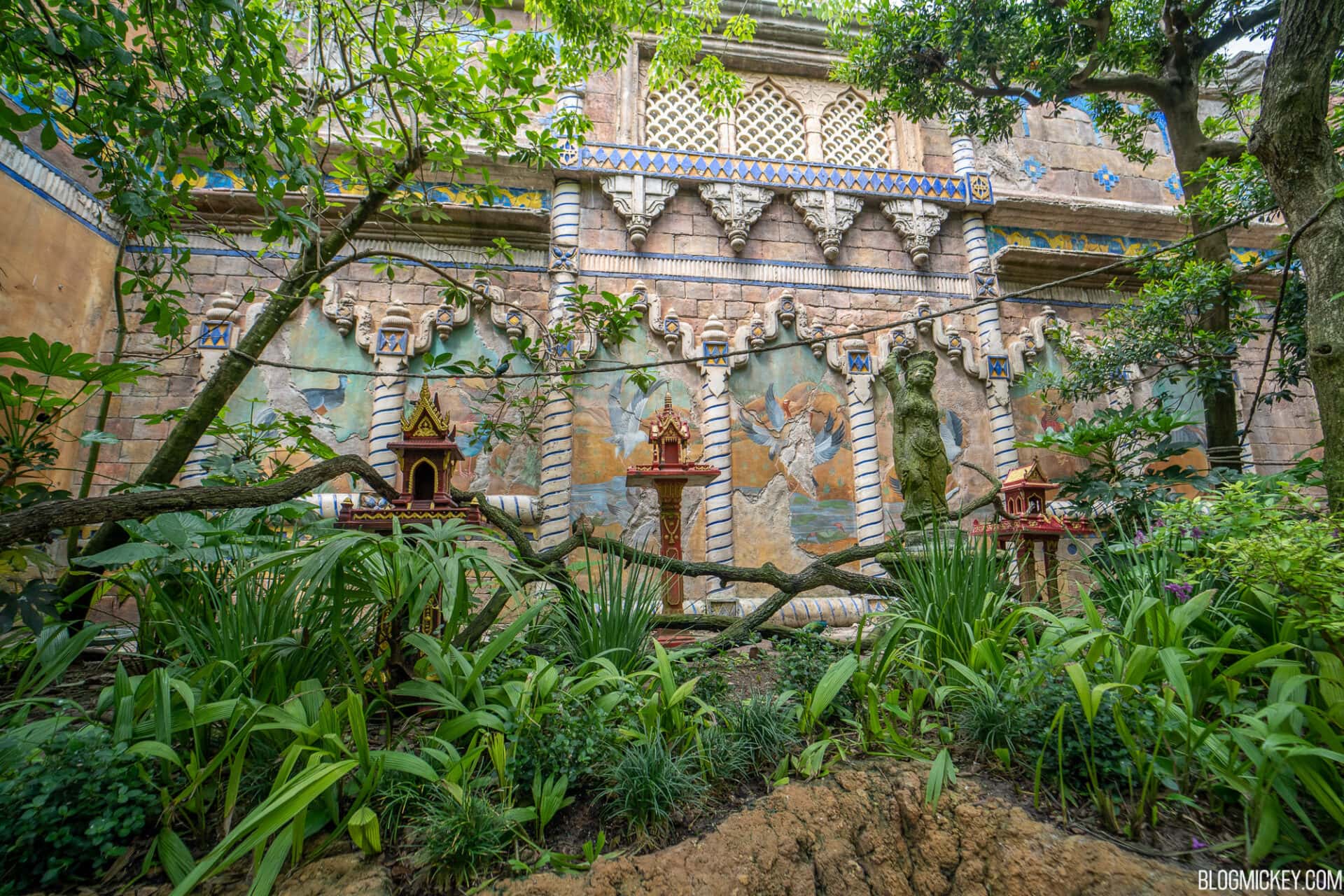 Maharajah Jungle Trek Aviary Reopens at Disney's Animal Kingdom